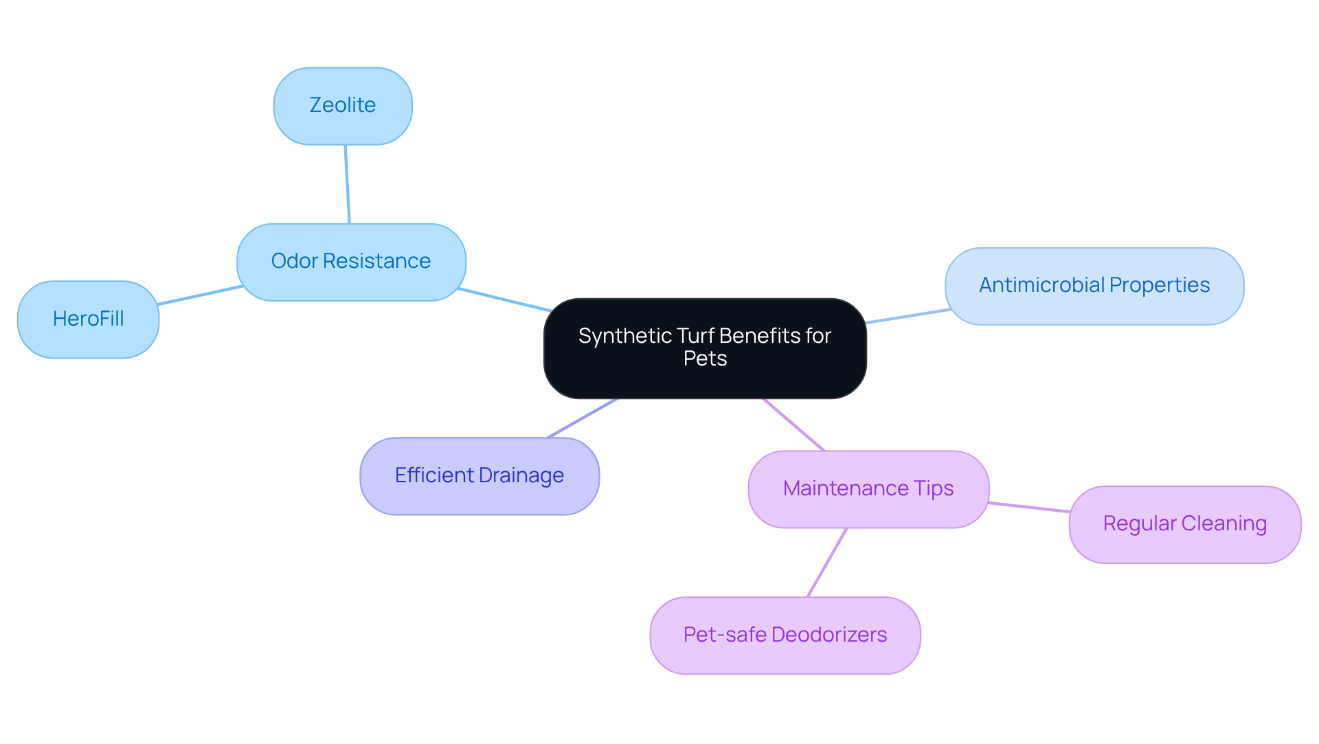 The center shows the main topic of synthetic turf, while the branches highlight its benefits and maintenance strategies. Each color-coded branch helps you quickly identify different aspects of keeping your yard fresh and clean for pets.