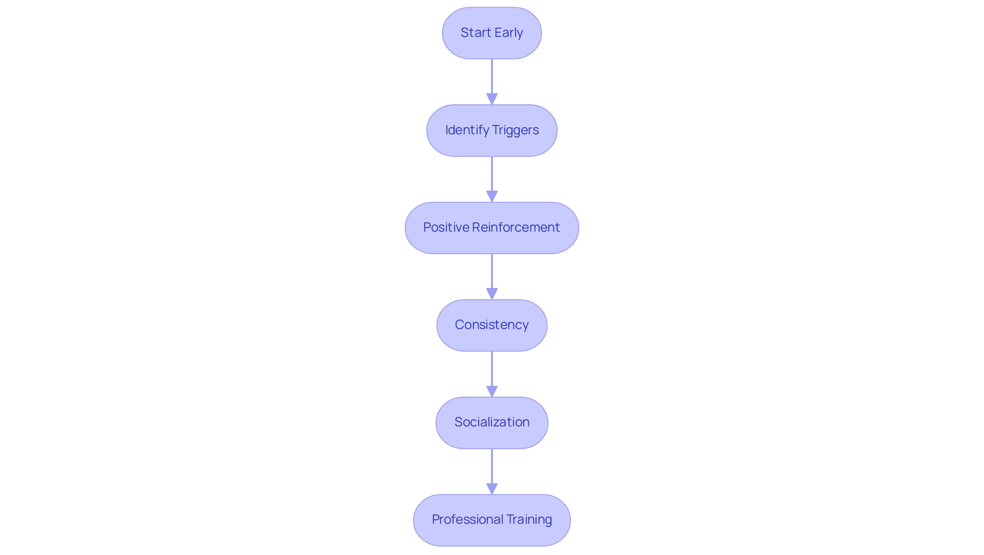 Each box represents a tip for training, and the arrows indicate the recommended progression through the training steps.