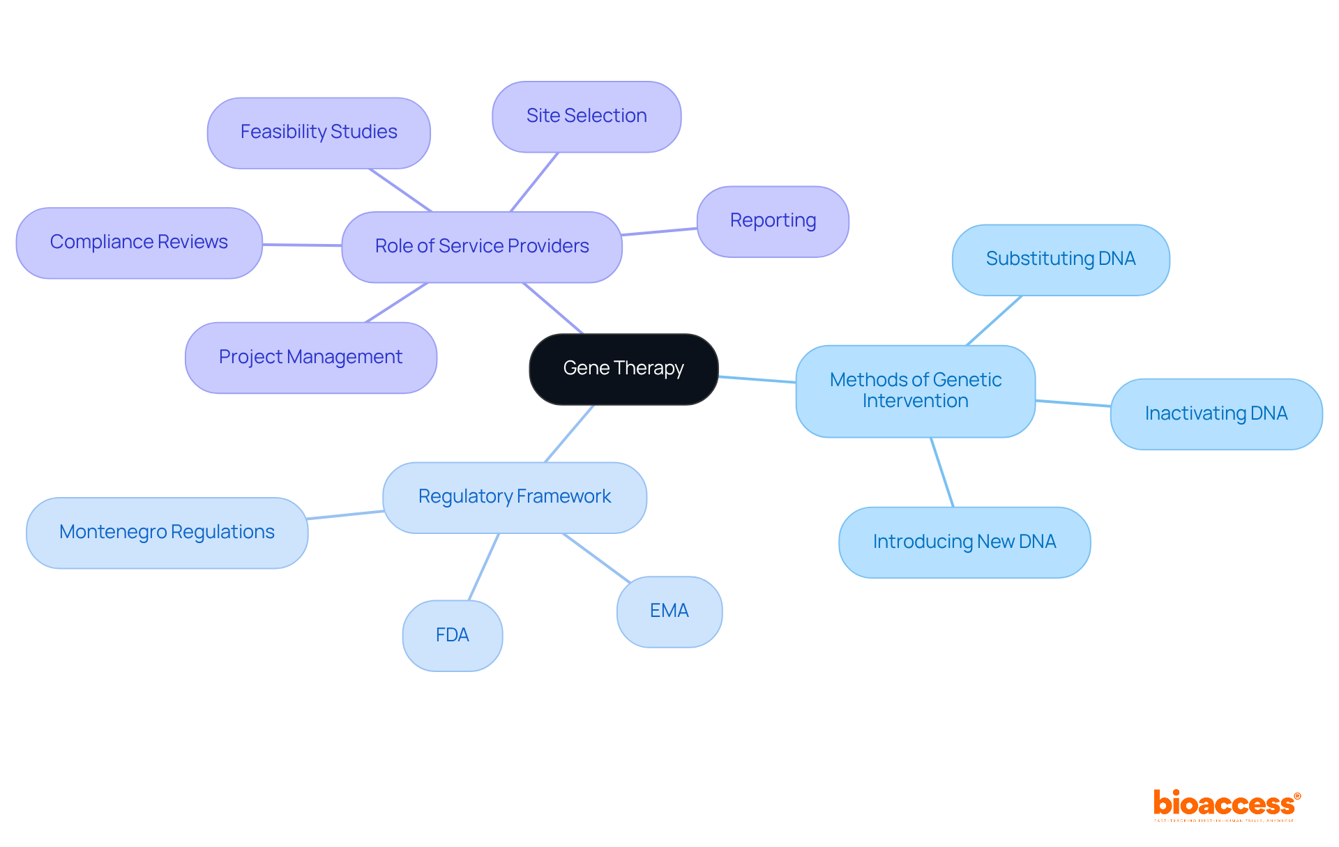The central node represents gene therapy, with branches showing different methods, regulations, and the role of service providers. Each color-coded branch helps you see how these elements connect and support the overall understanding of gene therapy.