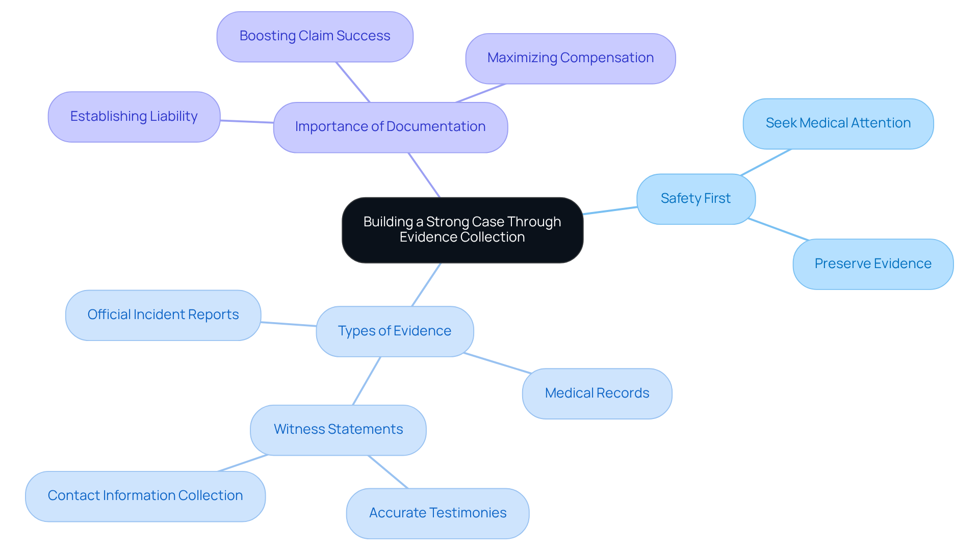The center represents the main goal of building a strong case. Each branch shows different aspects of the process, with sub-branches detailing specific types of evidence needed to support claims.