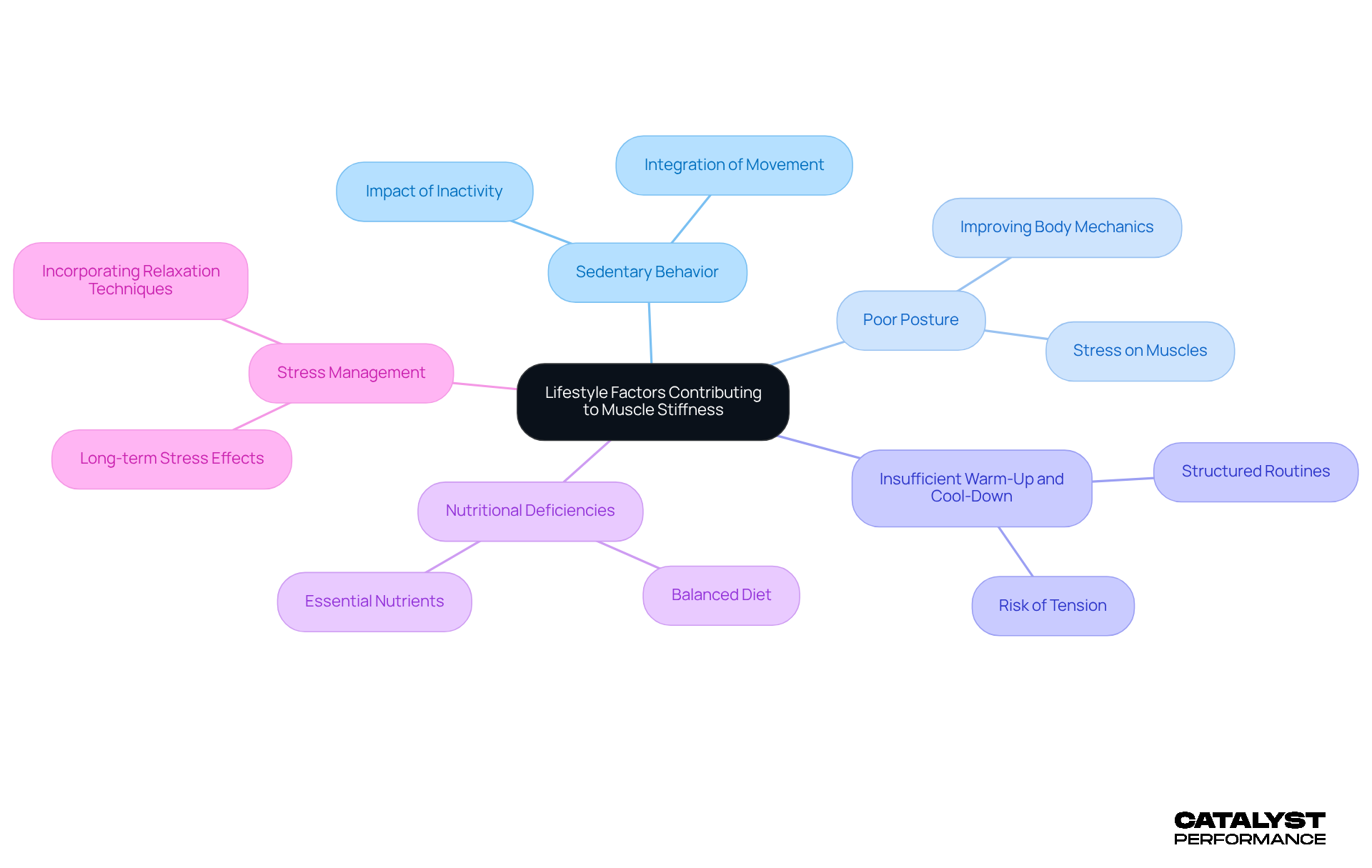The central node represents the main topic, while the branches show different lifestyle factors that can lead to muscle stiffness. Each branch explains how that factor contributes to the issue, helping you understand the connections and take action.