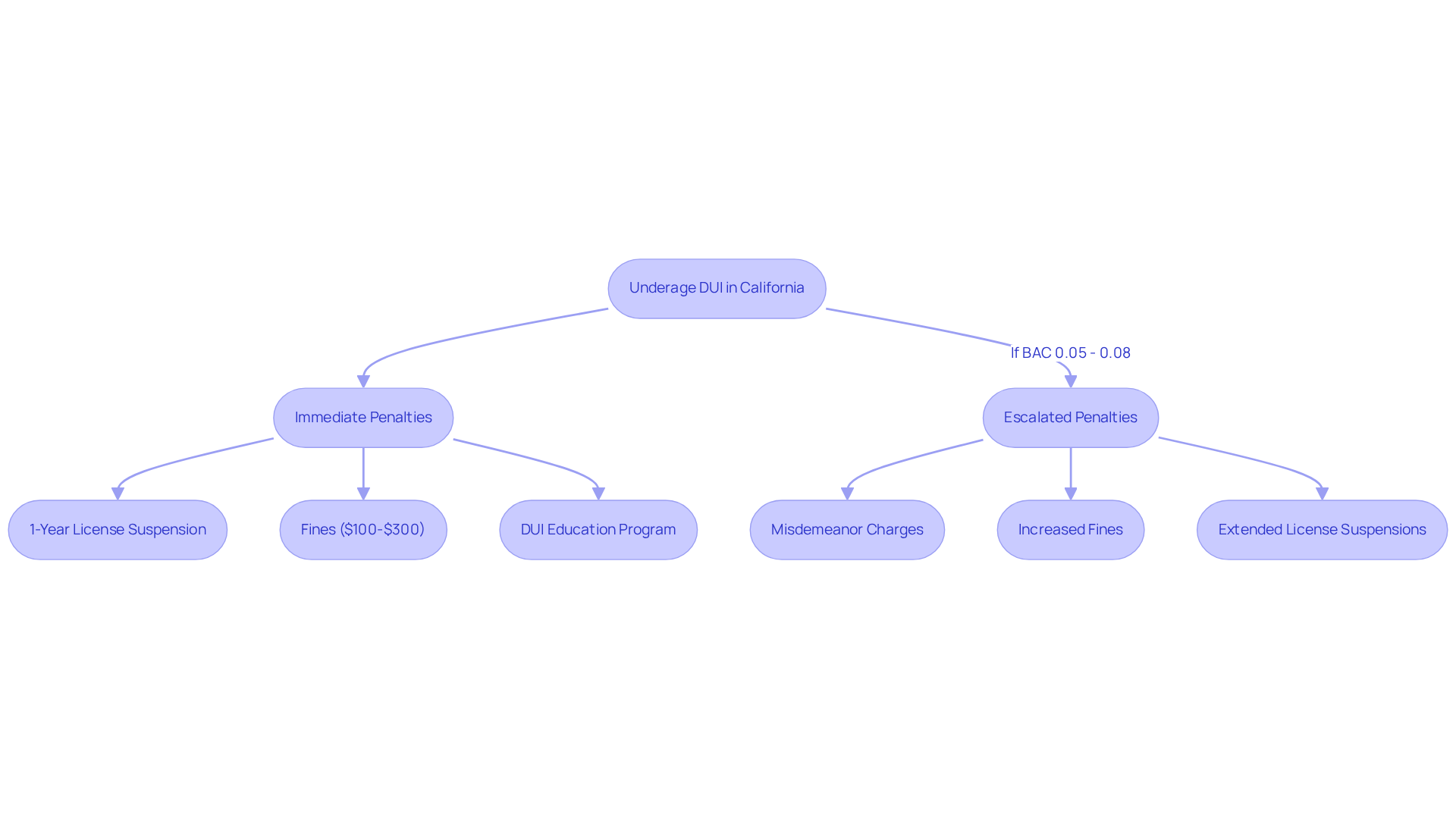 This flowchart shows what happens if a young driver is caught with an underage DUI. Start at the top with the DUI, then follow the arrows to see the immediate penalties and what happens if the blood alcohol concentration is between 0.05% and 0.08%. Each box represents a consequence, helping you understand the serious implications of these actions. This flowchart shows what happens if a young driver is caught with an underage DUI. Start at the top with the DUI, then follow the arrows to see the immediate penalties and what happens if the blood alcohol concentration is between 0.05% and 0.08%. Each box represents a consequence, helping you understand the serious implications of these actions.