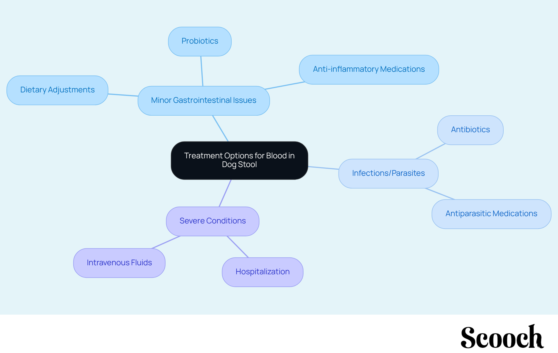 The central node represents the main topic of treatment options. Each branch shows different categories of conditions, and the sub-branches detail specific treatments. This layout helps you see how various issues are addressed. The central node represents the main topic of treatment options. Each branch shows different categories of conditions, and the sub-branches detail specific treatments. This layout helps you see how various issues are addressed.