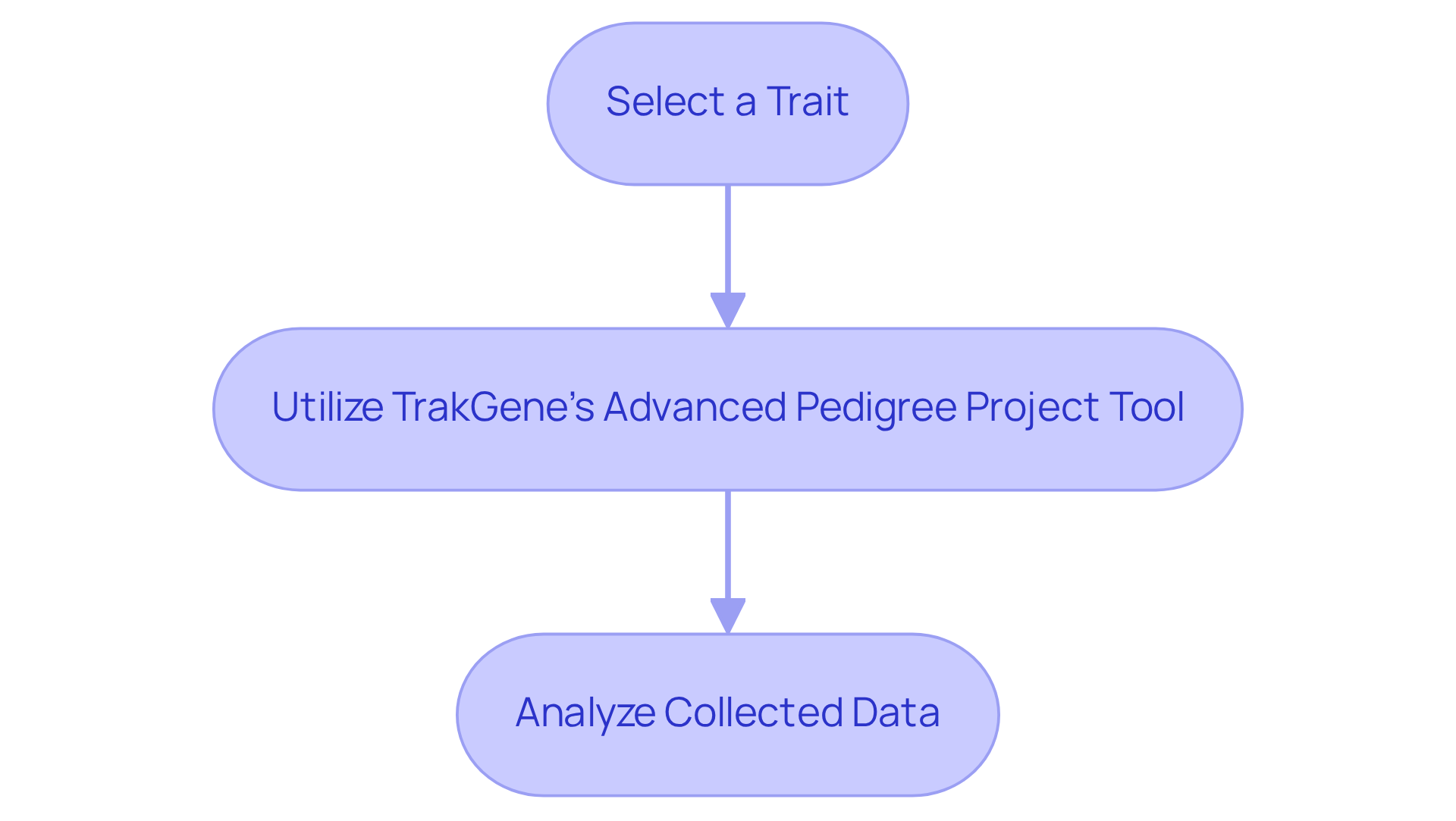 This flowchart outlines the steps to investigate a trait in your family. Start by selecting a trait, then use the tool to collect data, and finally analyze what you've gathered.