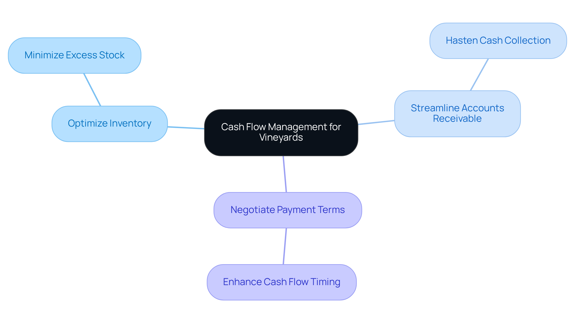 This mindmap shows how different strategies connect to improve cash flow for vineyards. Each branch highlights a key method, and the sub-branches explore specific actions or outcomes related to that method.