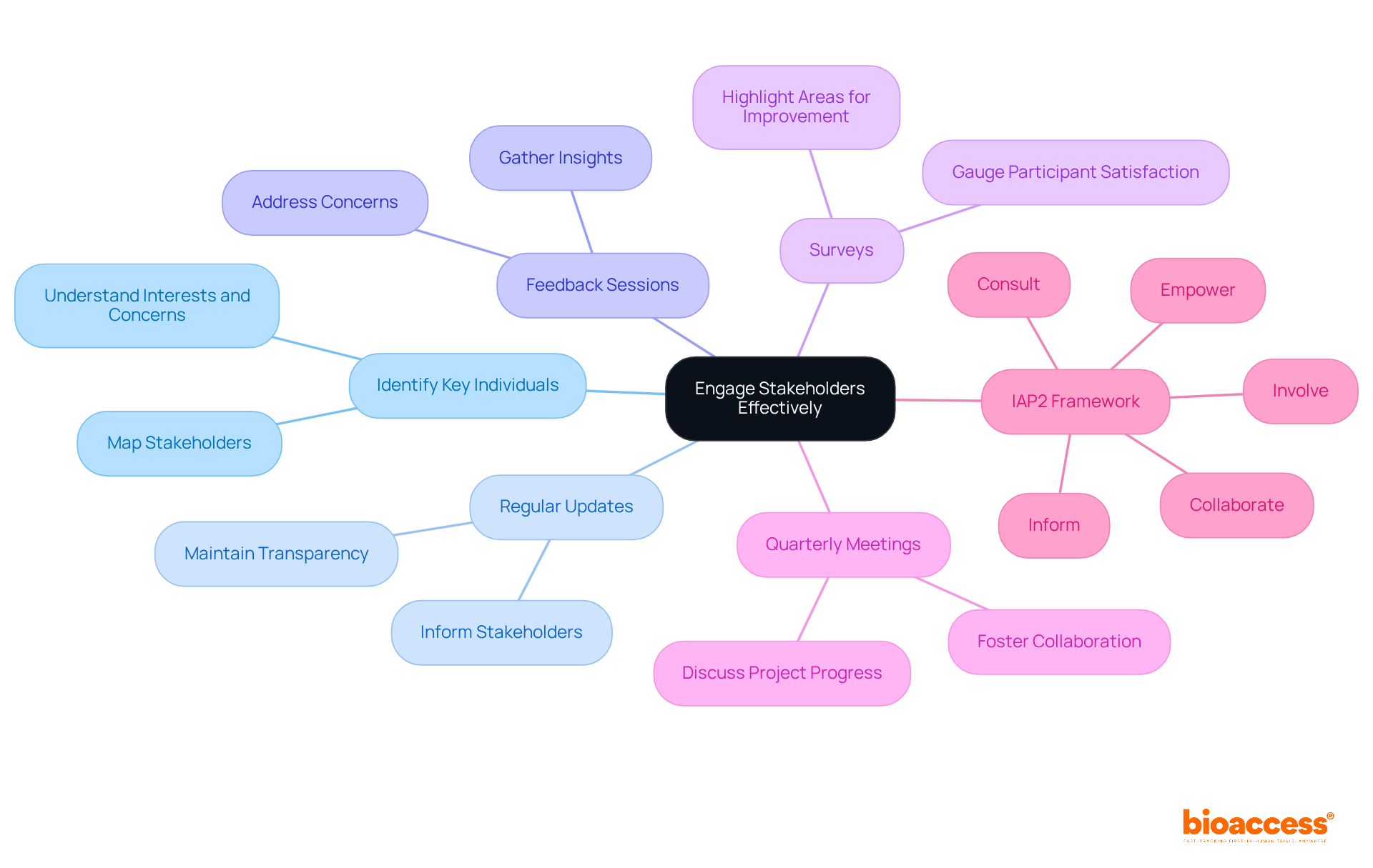 Start at the center with the main theme of stakeholder engagement, then follow the branches to explore various strategies and their specific actions. Each branch represents a different approach to ensuring effective communication and involvement.