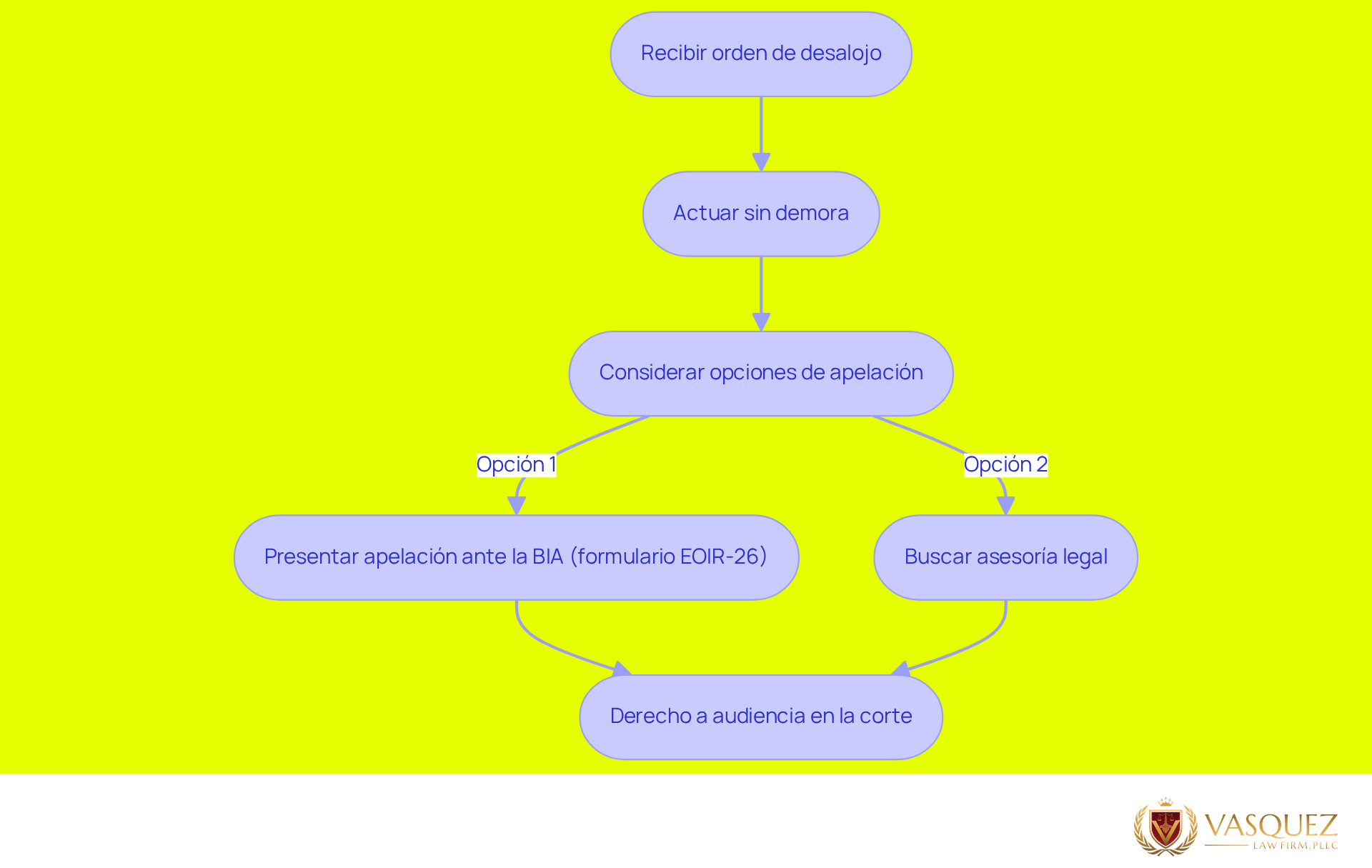 Este diagrama muestra los pasos que un inmigrante debe seguir después de recibir una orden de desalojo. Cada cuadro representa una acción o decisión, y las flechas indican el camino a seguir.