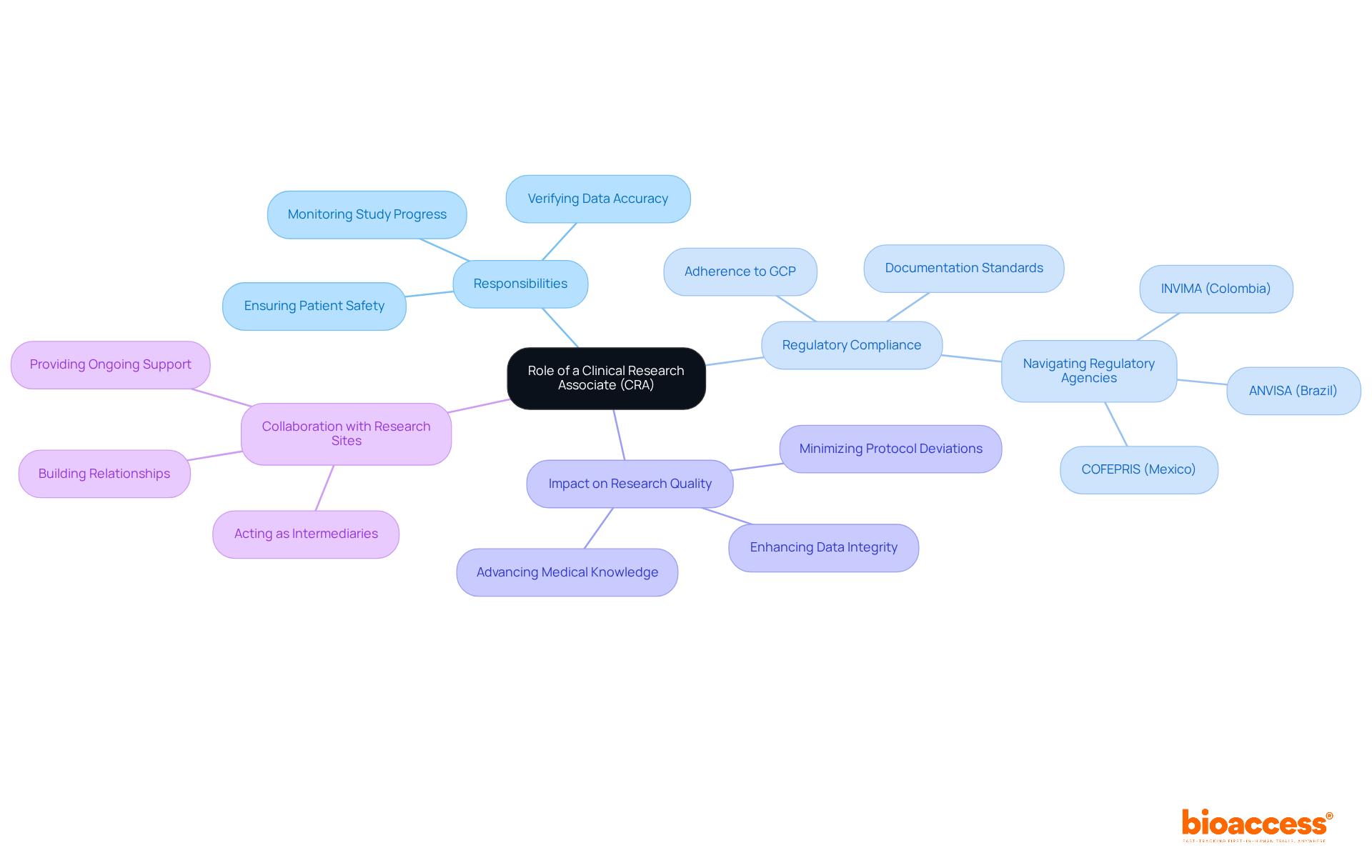 The central node represents the CRA's role, with branches showing their key responsibilities and how they contribute to research integrity and efficiency. Each color-coded branch helps you see the different aspects of their work.