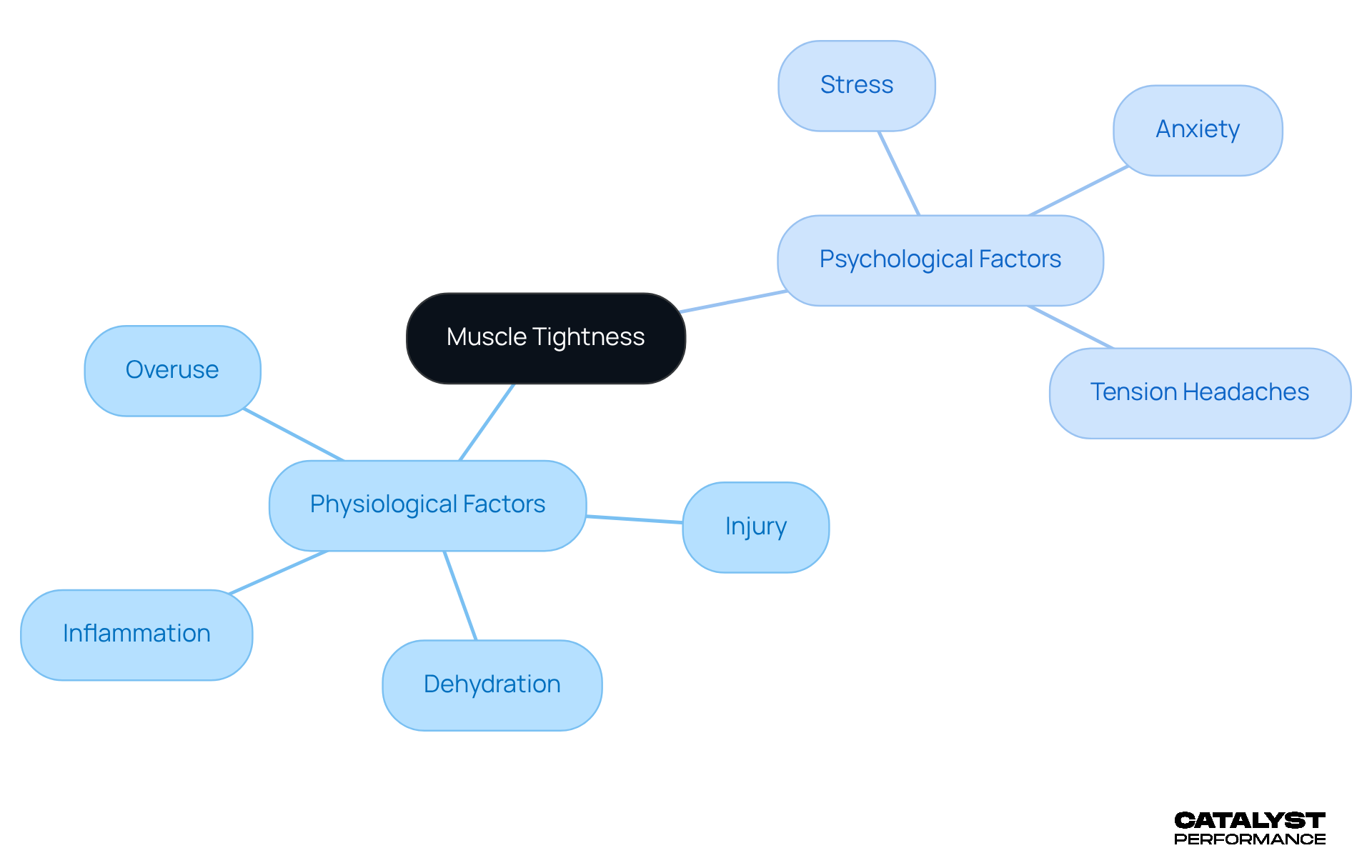The central node represents muscle tightness, with branches showing the different factors that contribute to it. Each color-coded branch helps you see how physiological and psychological elements are interconnected, guiding you toward understanding and managing muscle tightness.