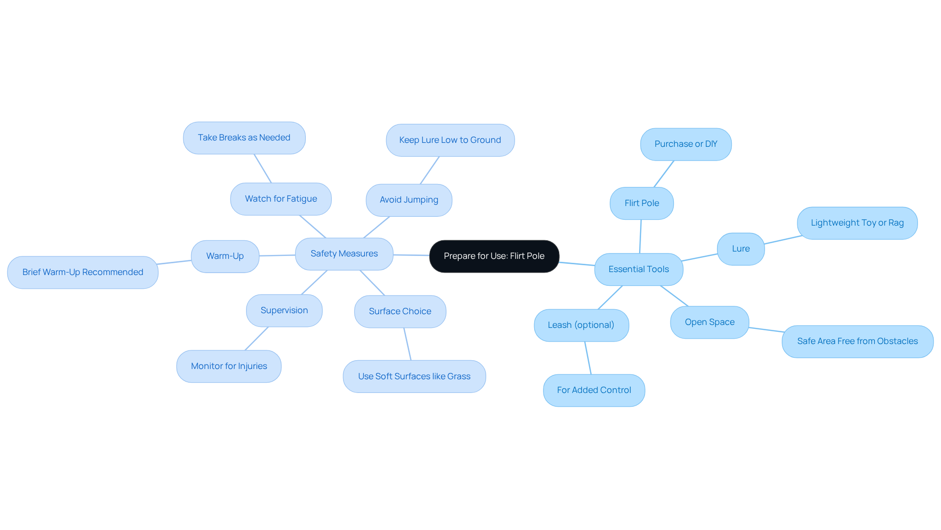In this mindmap, start at the center with the main topic. The branches show key tools and safety measures you'll need. Each sub-branch provides more detail to help you understand what you should consider before playtime with your dog.