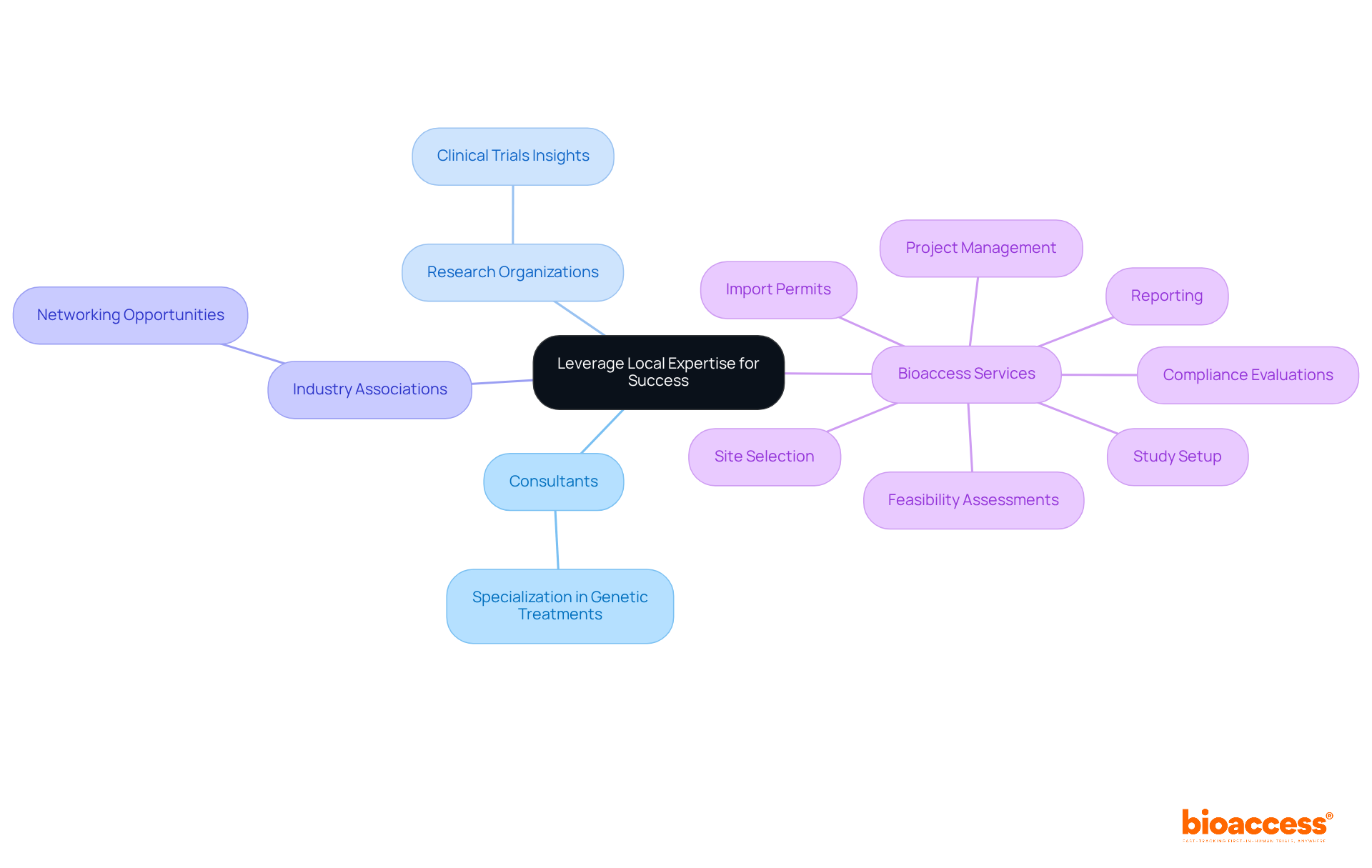 The central node represents the main strategy, while the branches show different areas of focus and specific actions that can help navigate compliance in Bosnia. Each color-coded branch helps you see how various resources and collaborations contribute to overall success.