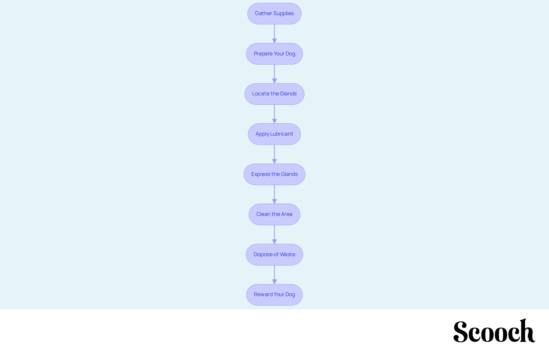 Each box represents a step in the cleaning process. Follow the arrows to see how to move from one step to the next, ensuring a smooth and safe experience for your dog. Each box represents a step in the cleaning process. Follow the arrows to see how to move from one step to the next, ensuring a smooth and safe experience for your dog.