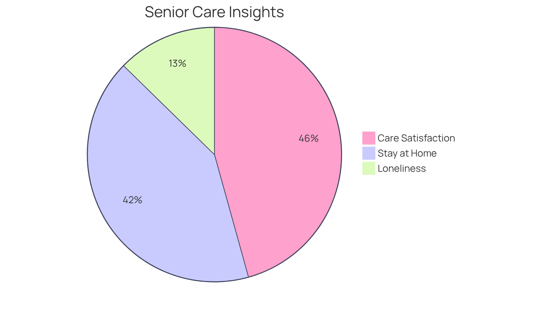 Each slice represents a different aspect of senior care: the loneliness statistic shows how many older adults feel lonely, the staying at home slice indicates how many wish to remain in their homes, and the satisfaction slice reflects how happy patients are with their care. Each slice represents a different aspect of senior care: the loneliness statistic shows how many older adults feel lonely, the staying at home slice indicates how many wish to remain in their homes, and the satisfaction slice reflects how happy patients are with their care.