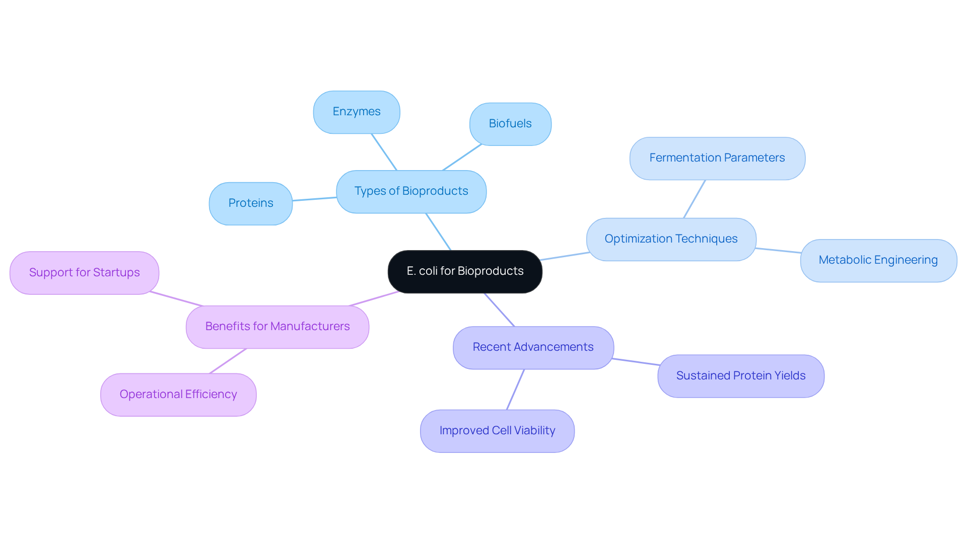The central node represents the main topic, while the branches show different aspects of using E. coli in bioproduct manufacturing. Each sub-branch provides more detail on specific areas, helping you see how everything connects.