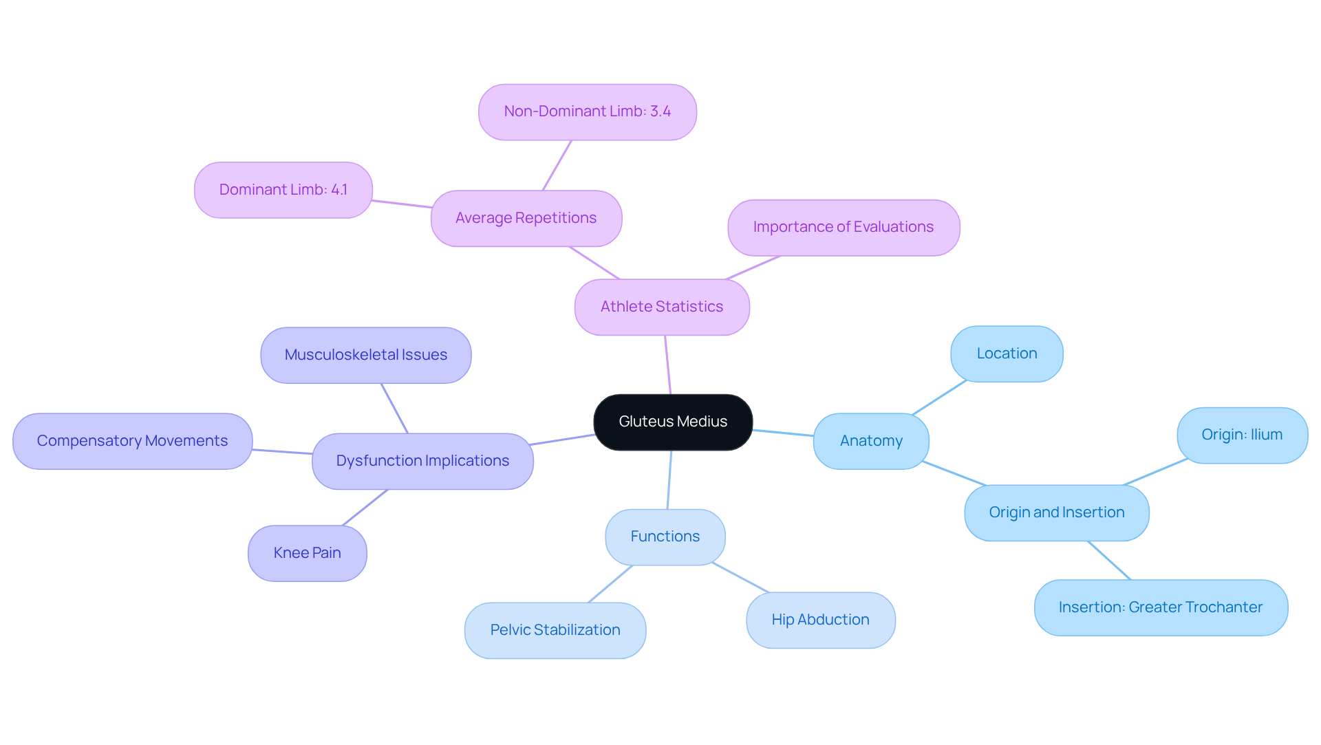 The central node represents the gluteus medius, with branches showing its anatomy, functions, and the consequences of dysfunction. Each color-coded branch helps you see how these aspects connect and contribute to overall hip health. The central node represents the gluteus medius, with branches showing its anatomy, functions, and the consequences of dysfunction. Each color-coded branch helps you see how these aspects connect and contribute to overall hip health.