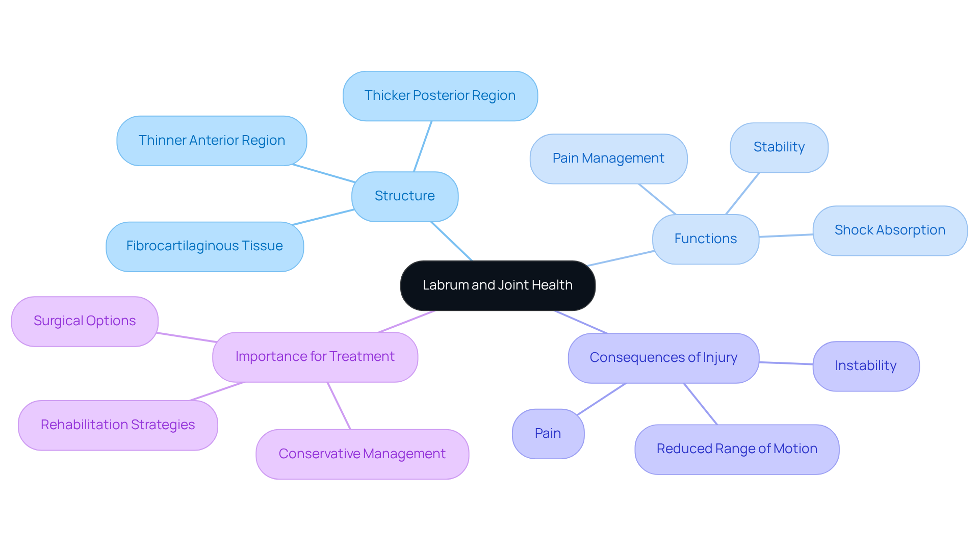 This mindmap illustrates the labrum's structure and functions, showing how it supports joint health. Each branch represents a different aspect of the labrum's importance, helping you see how they connect and why they matter for your overall well-being.