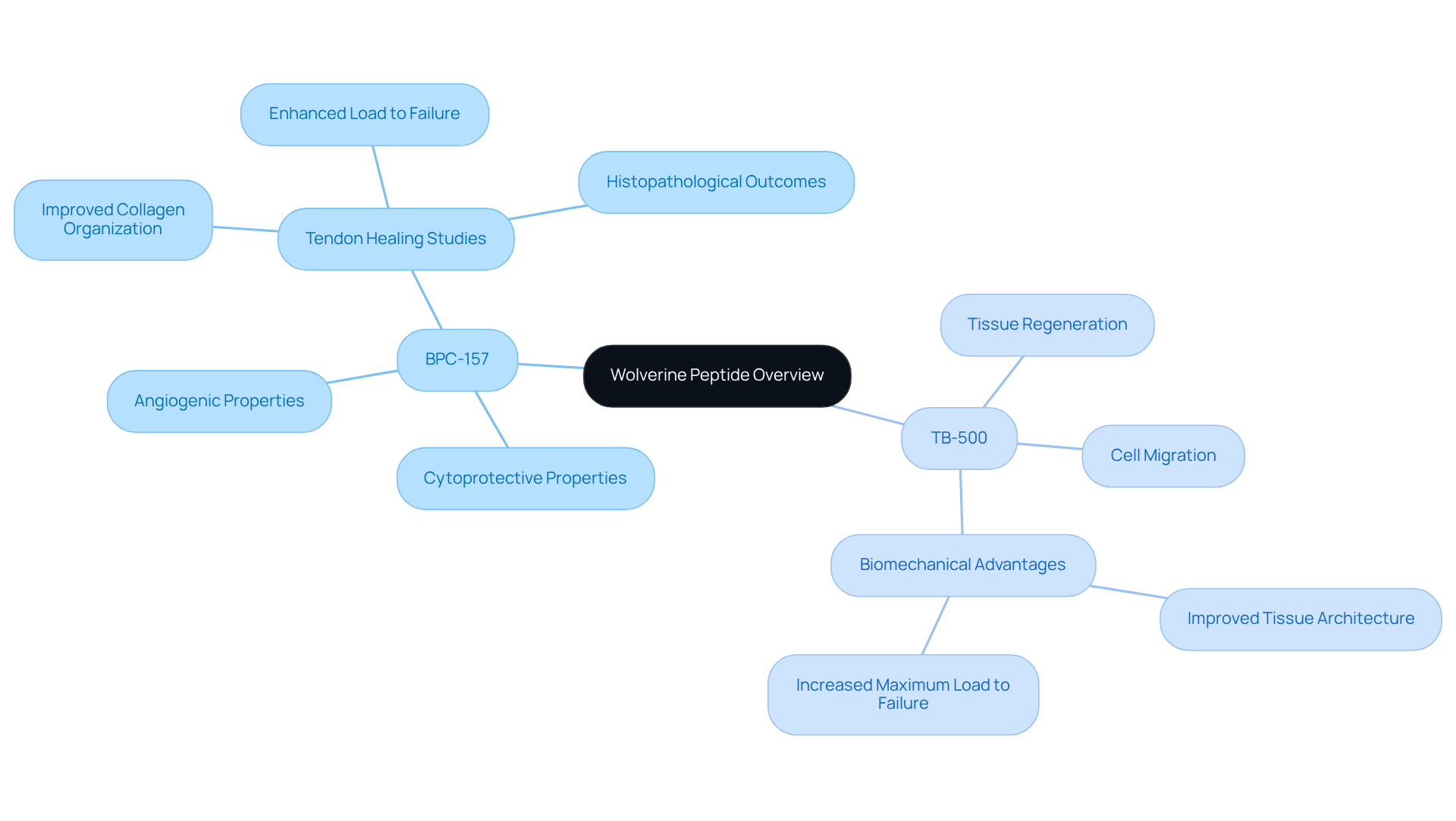 This mindmap starts with the main topic in the center and branches out to show the key components and their benefits. Each branch represents a different aspect of the Wolverine Peptide, helping you see how everything connects and what each part contributes to recovery. This mindmap starts with the main topic in the center and branches out to show the key components and their benefits. Each branch represents a different aspect of the Wolverine Peptide, helping you see how everything connects and what each part contributes to recovery.