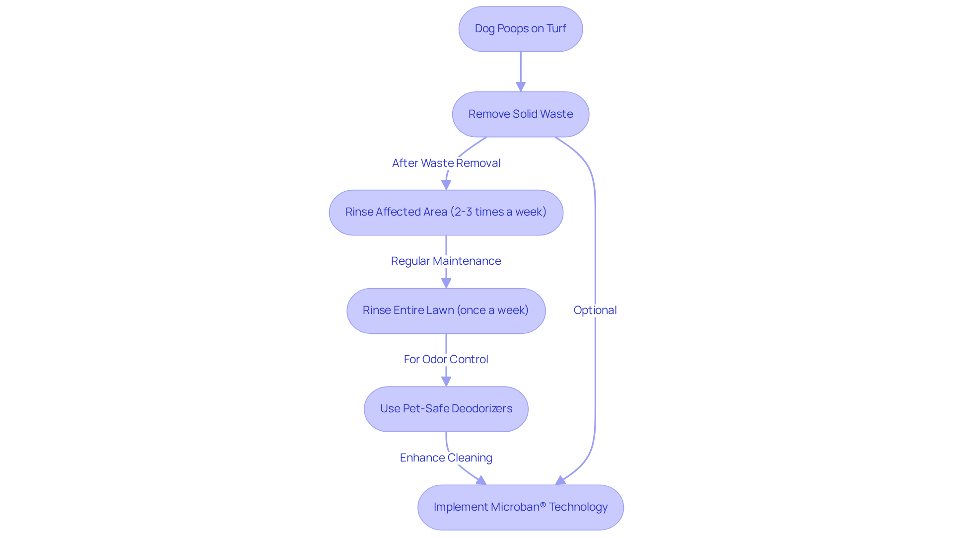 Follow the arrows to see the steps pet owners should take after their dog poops on turf. Each box represents an action to keep the area clean and safe for pets and people.