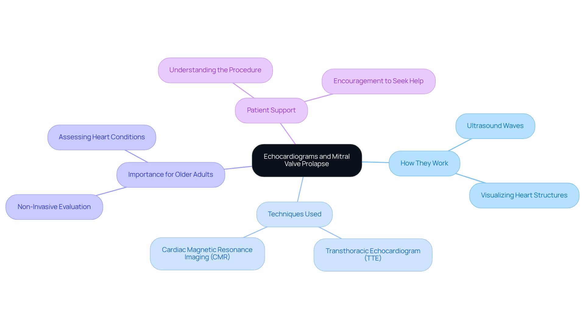 The central node represents echocardiograms, while the branches show how they work, the techniques involved, their importance for older adults, and the support available for patients. Each color-coded branch helps you navigate through the information easily.