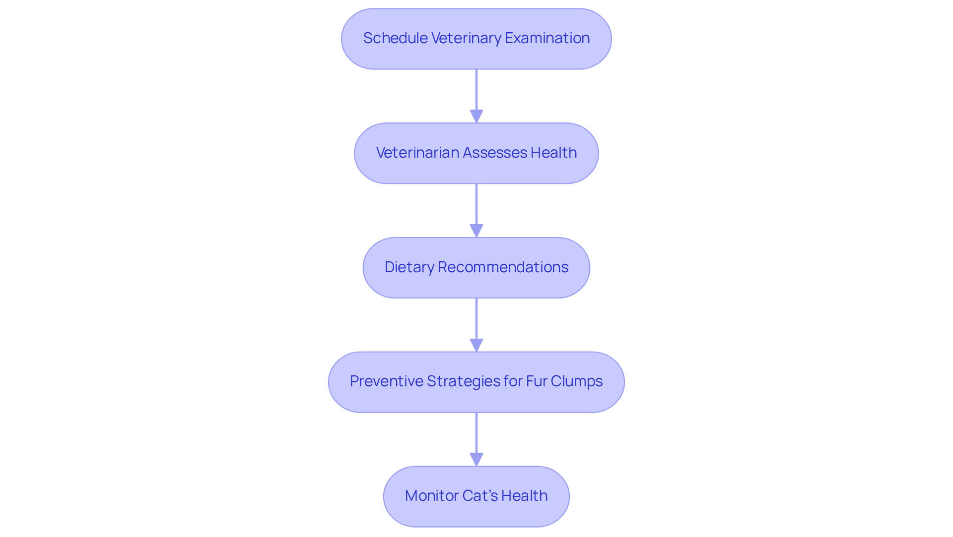 This flowchart shows the steps to ensure your cat's health through regular vet visits, leading to better care and fewer hairball issues. Follow the arrows to see how each step connects.