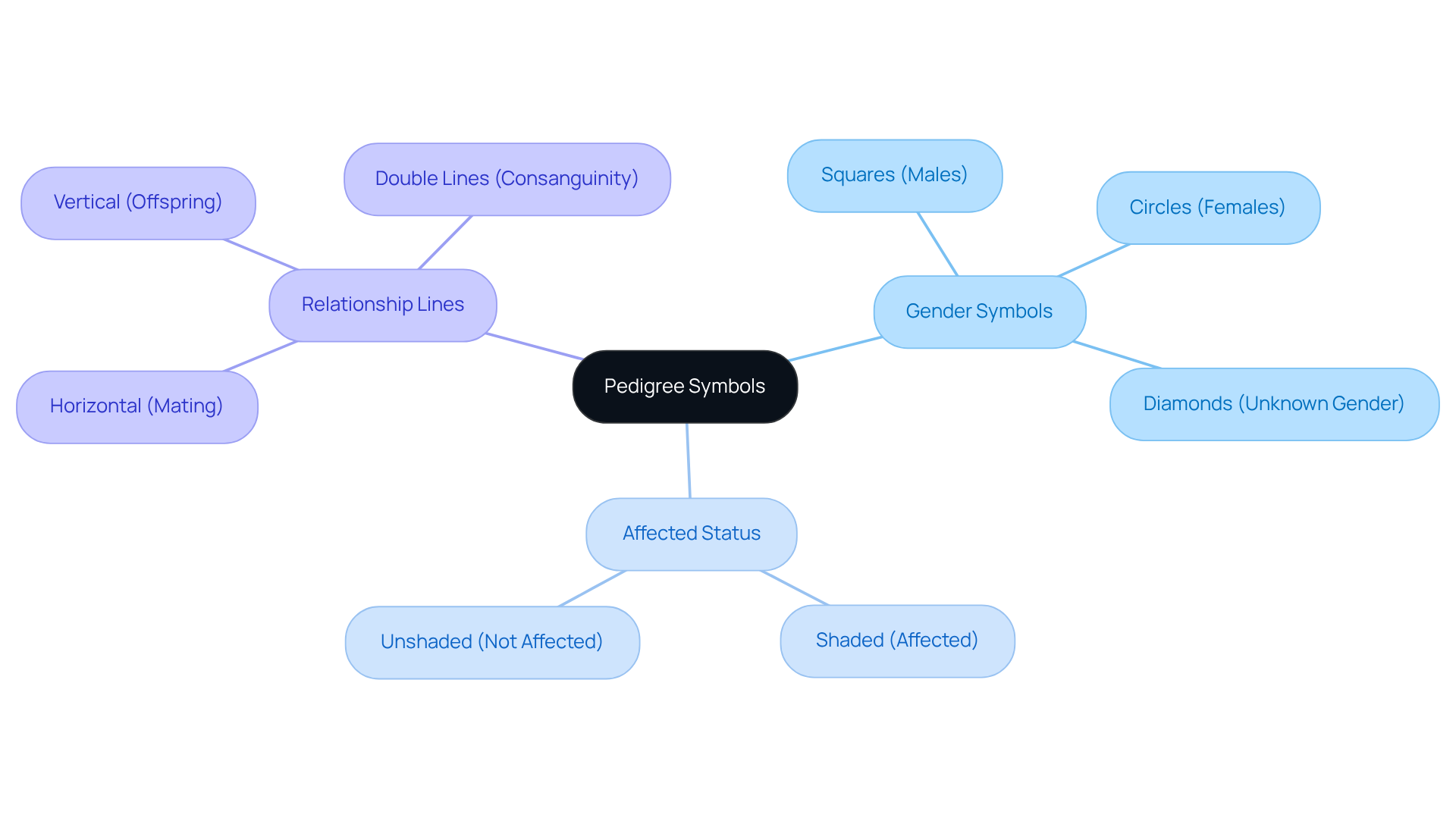 The central node represents the overall topic of pedigree symbols. Each branch shows different aspects: gender representation, affected status, and familial relationships. This structure helps you understand how to read and interpret pedigree diagrams effectively.