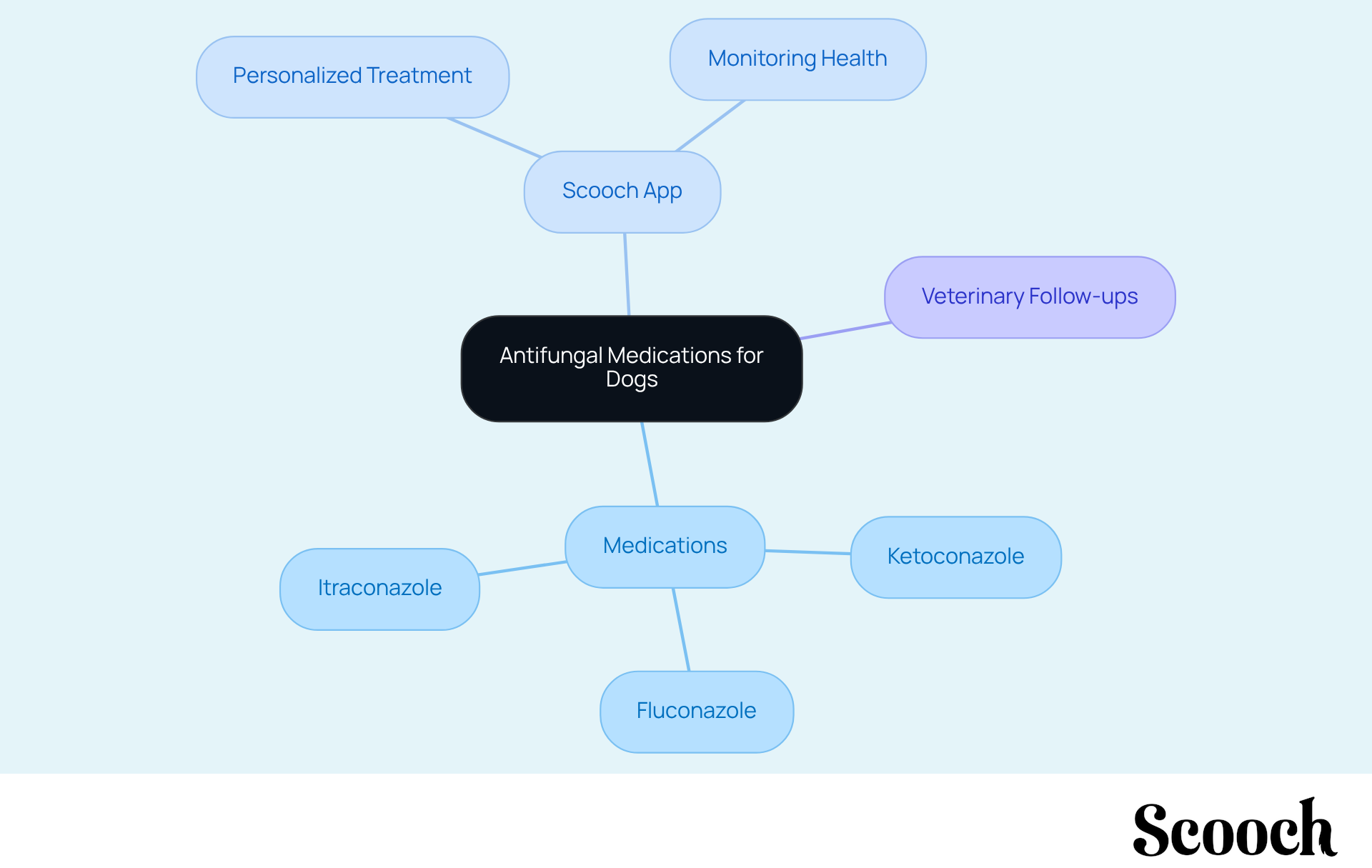 10 Effective Dog Yeast Infection Treatment Options for Pet Owners