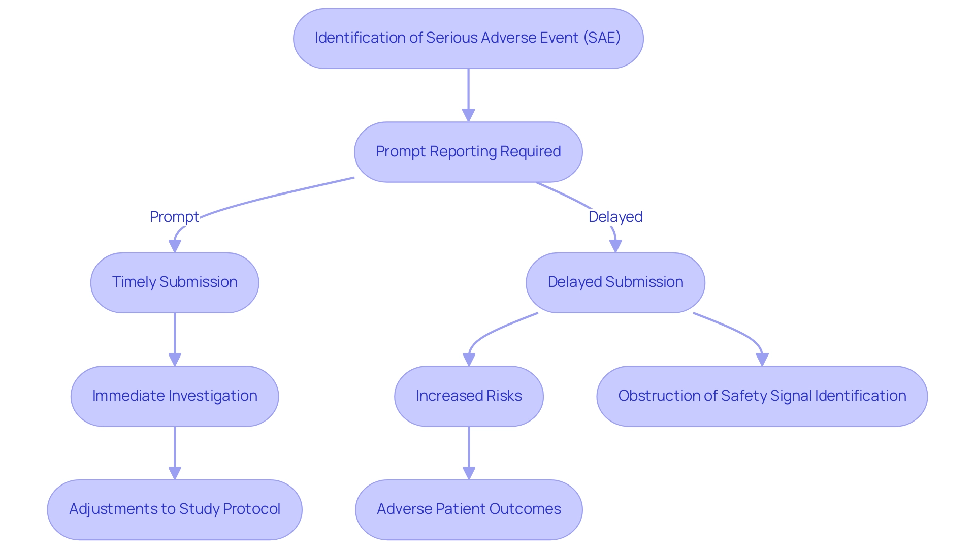 Boxes represent steps in the SAE reporting process, arrows indicate the flow of actions, and colors distinguish between timely and delayed responses.