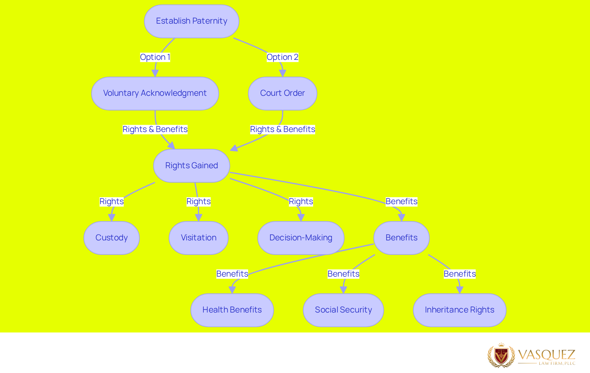 This flowchart guides you through the process of establishing paternity. Start at the top with the main goal, then follow the branches to see your options and the rights and benefits you can gain. Each step is designed to help you understand how to secure your role as a father and the advantages that come with it.
