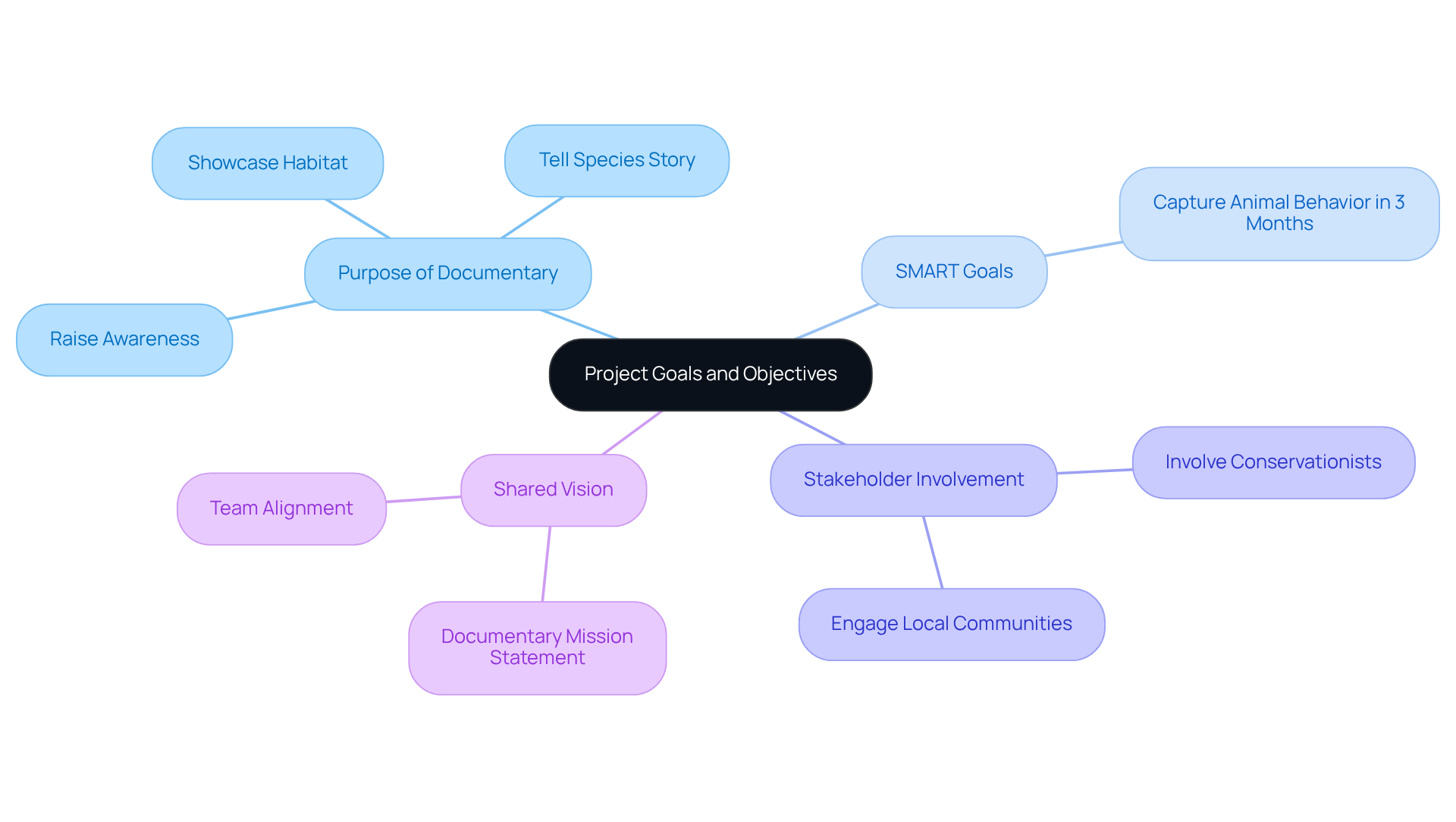 This mindmap helps you visualize the different components of setting project goals. Start at the center with the main focus, then explore each branch to see how they connect to your documentary's mission and objectives.