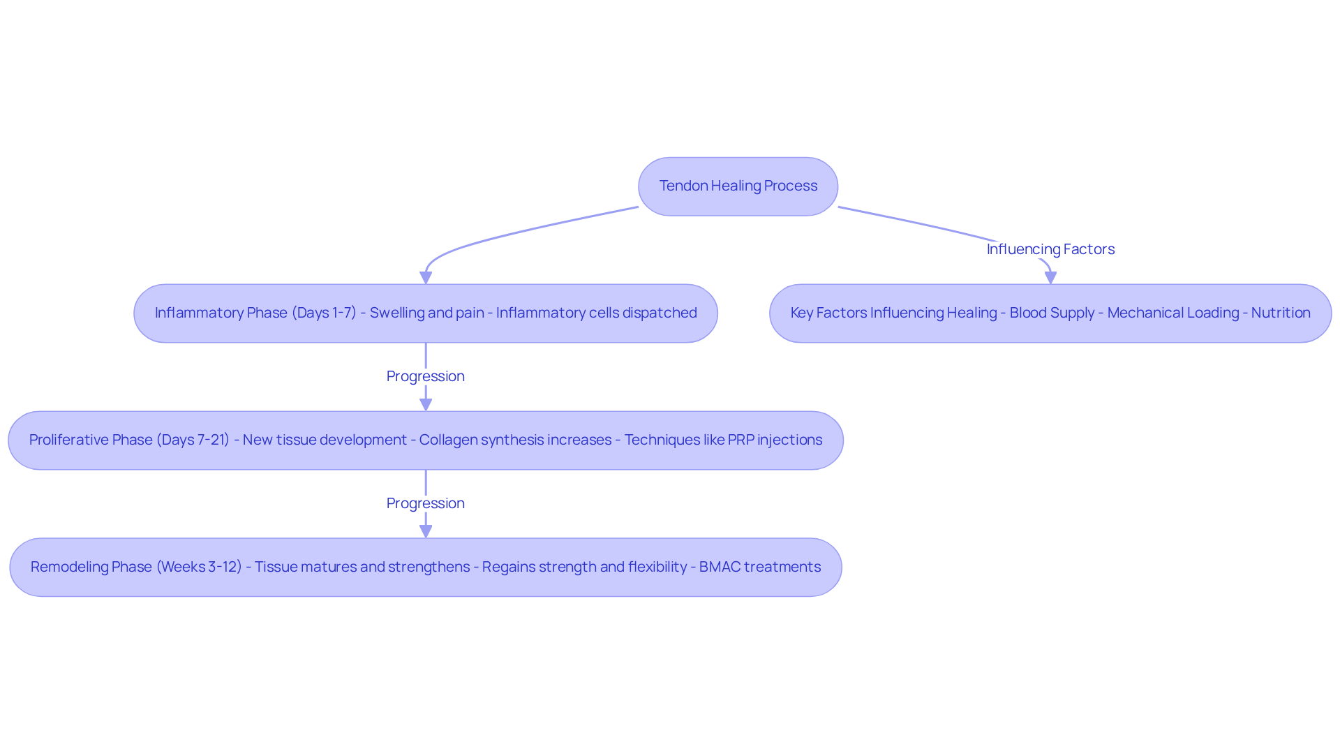 This flowchart illustrates the stages of tendon healing. Each phase shows what happens during that time, and the side section highlights important factors that can help improve recovery. Follow the arrows to see how the healing progresses!