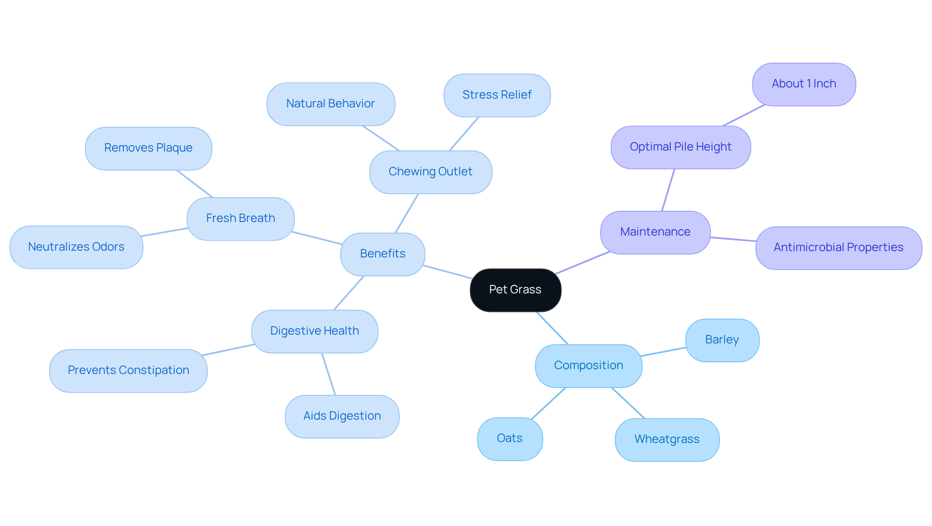 The center represents pet grass, and the branches show its key components and advantages. Follow the branches to explore how pet grass is made and why it's good for dogs.