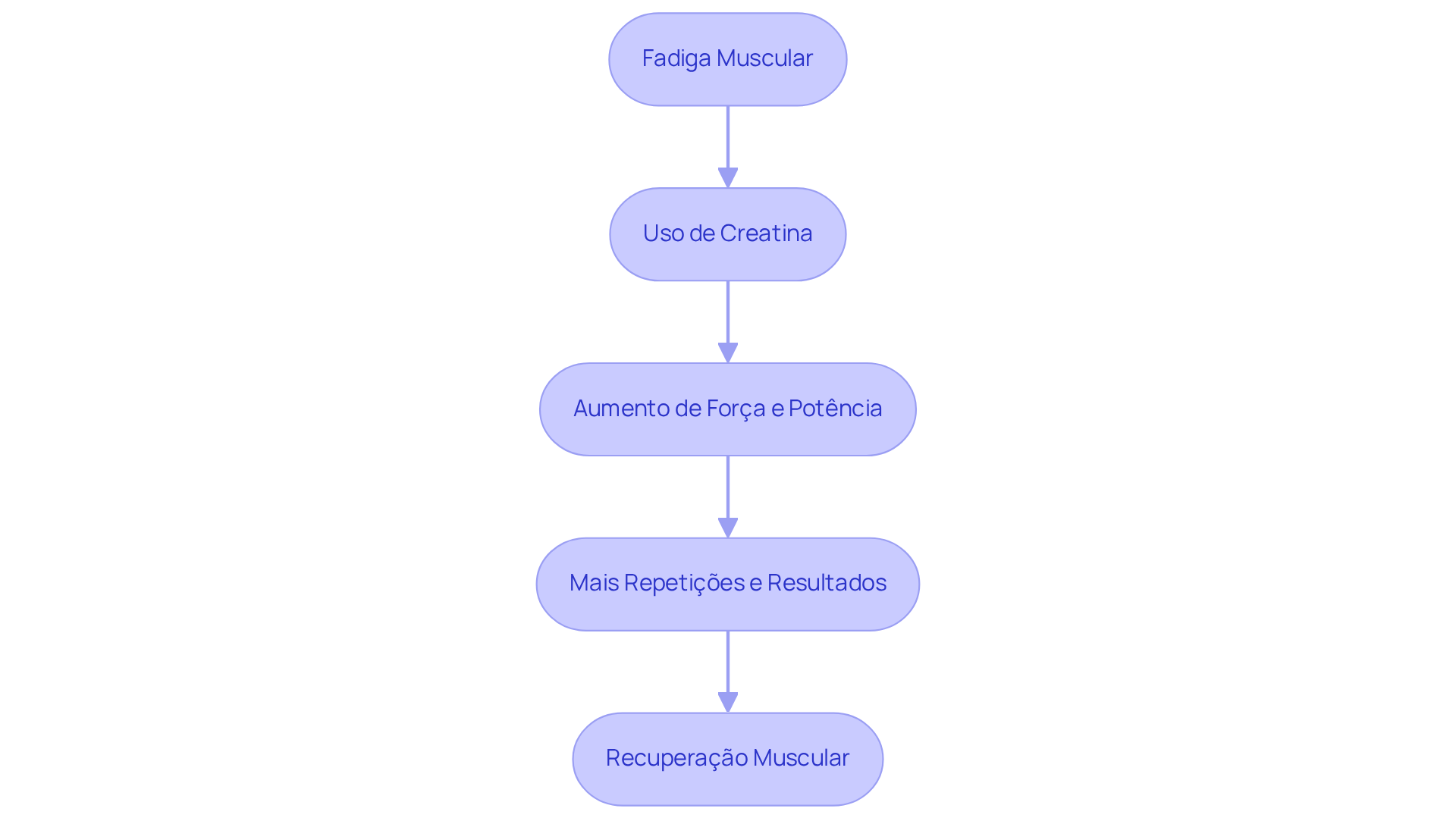 Cada caixa representa uma etapa no processo de uso da creatina - siga as setas para entender como ela pode ajudar a melhorar seu desempenho e recuperação.