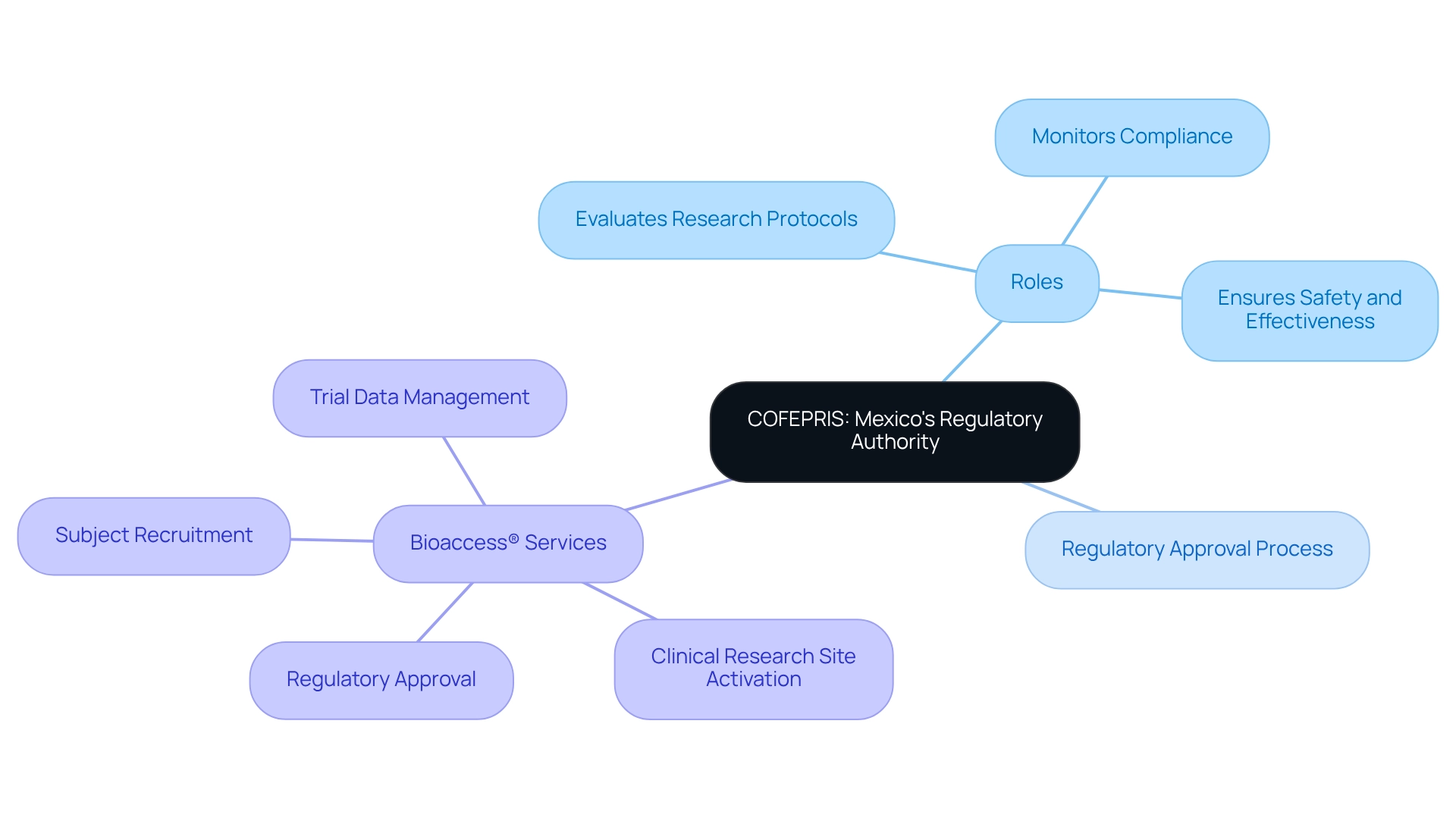 The central node represents COFEPRIS, while the branches expand into its roles and the services provided by bioaccess®. Each color-coded branch allows you to quickly identify related concepts.