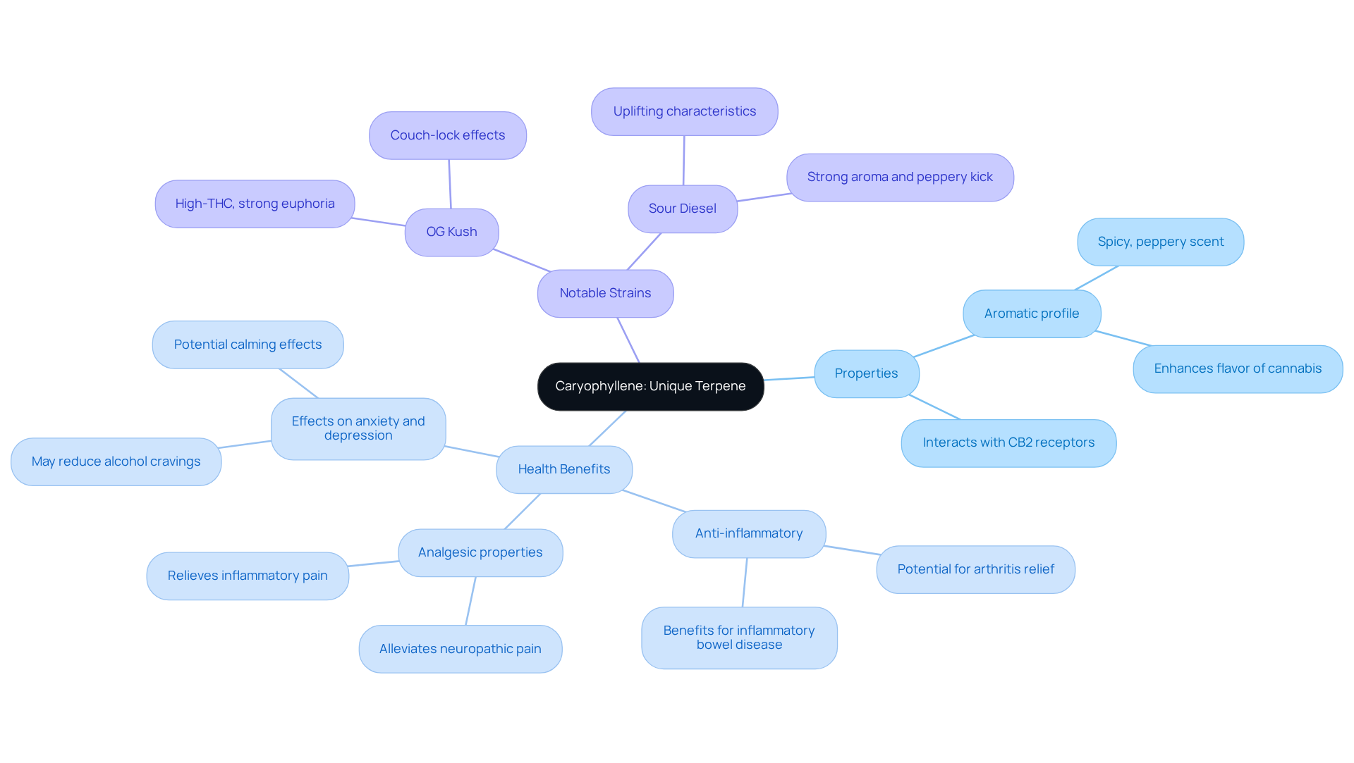 The center node represents caryophyllene. Each branch explores different aspects: 'Properties' explains what makes it unique, 'Health Benefits' covers its therapeutic effects, and 'Notable Strains' highlights cannabis varieties rich in this terpene.