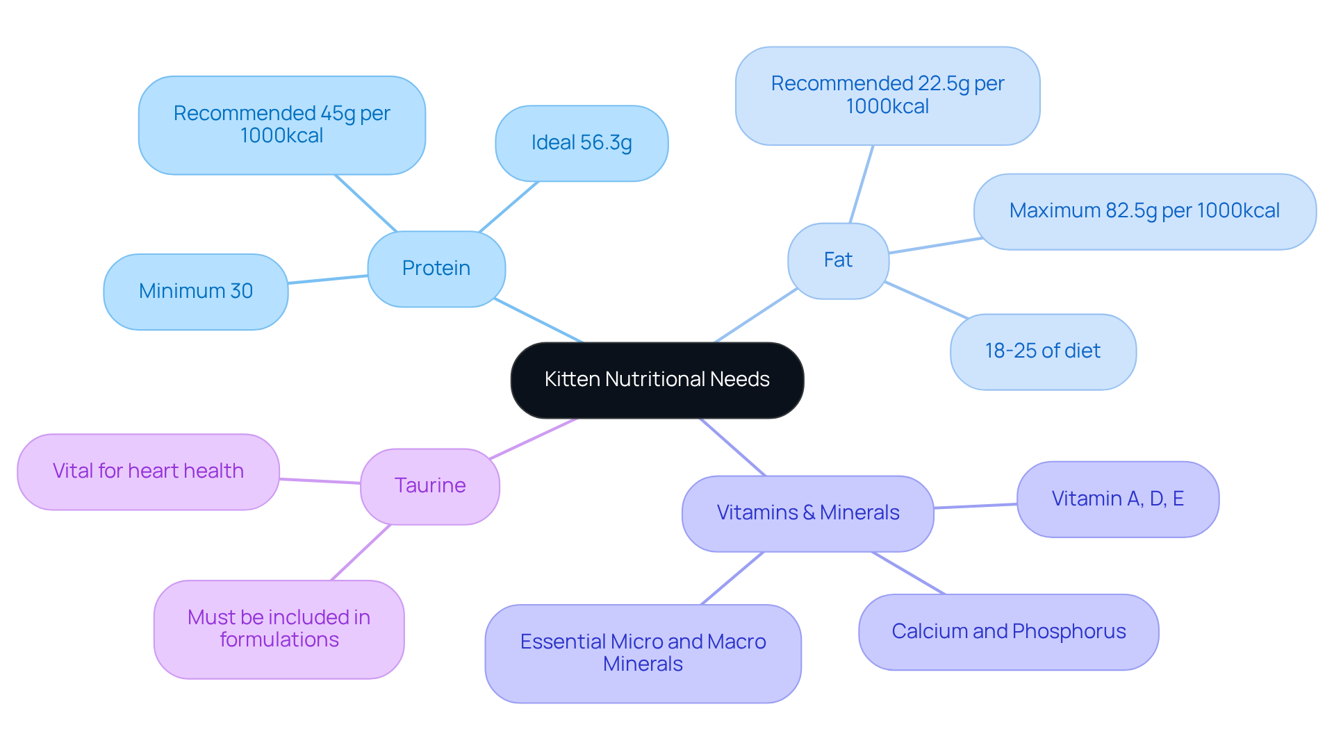 The central node represents all kitten nutritional needs, while the branches show specific nutrients and their importance, helping you understand what to look for in kitten food. The central node represents all kitten nutritional needs, while the branches show specific nutrients and their importance, helping you understand what to look for in kitten food.