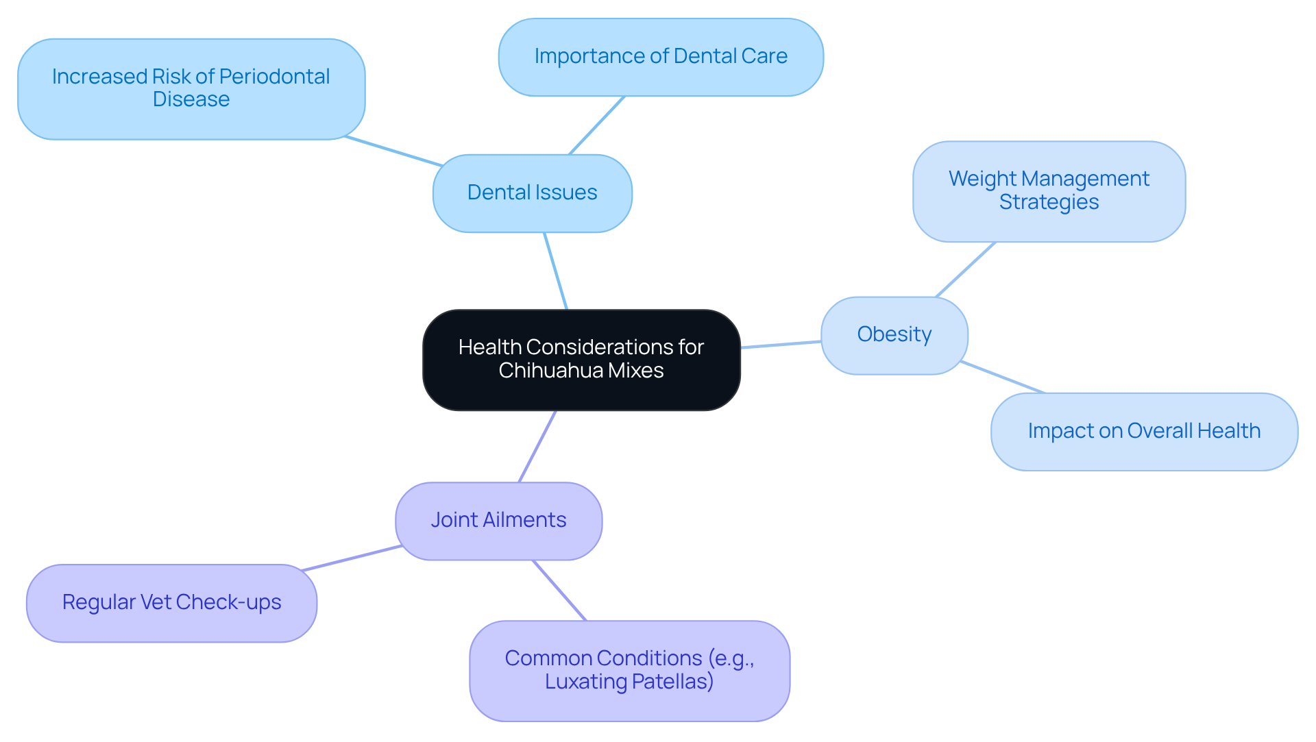 At the center is the main topic of health considerations. Each branch represents a common health issue, showing the key areas where pet owners should focus their care and attention.