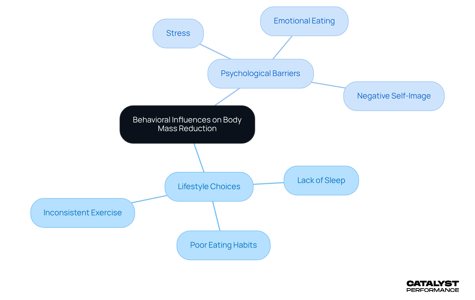 The central node represents the main topic, while the branches show different factors that influence body mass. Each color-coded branch helps you see how lifestyle choices and psychological barriers are interconnected. The central node represents the main topic, while the branches show different factors that influence body mass. Each color-coded branch helps you see how lifestyle choices and psychological barriers are interconnected.
