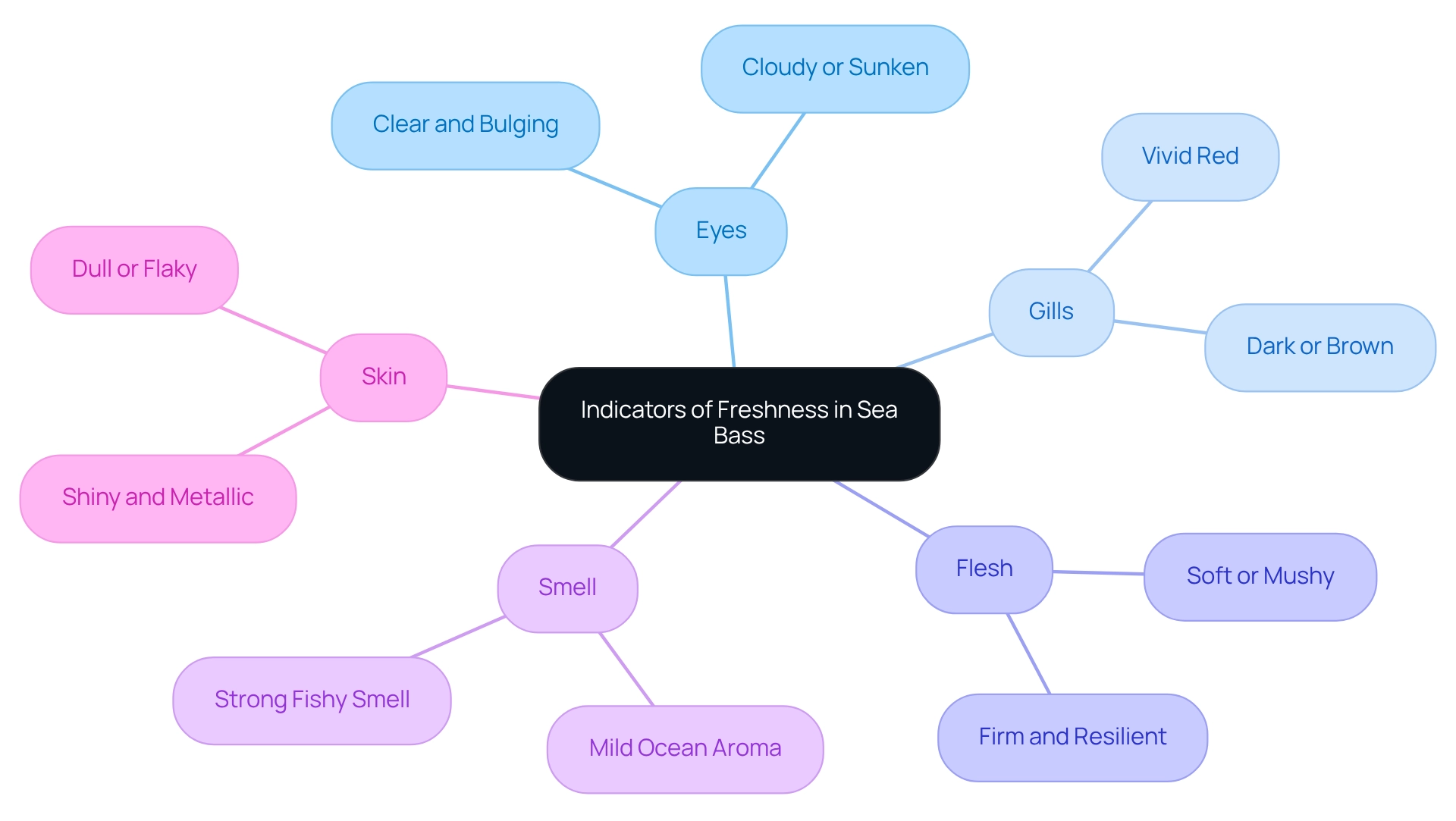 The central node represents the concept of freshness indicators, with branches showing specific factors that determine the quality of sea bass.
