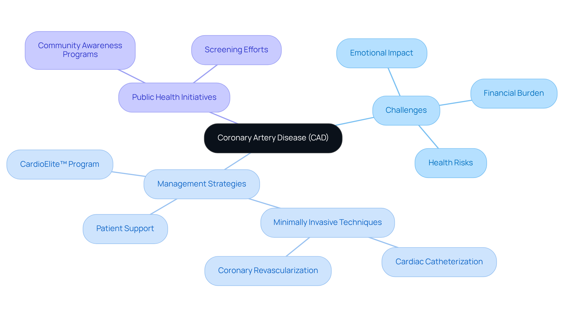This mindmap starts with CAD at the center, branching out to show the various challenges it poses, the strategies for managing it, and the public health initiatives aimed at prevention. Each branch represents a different aspect of CAD, helping you see how they all connect.