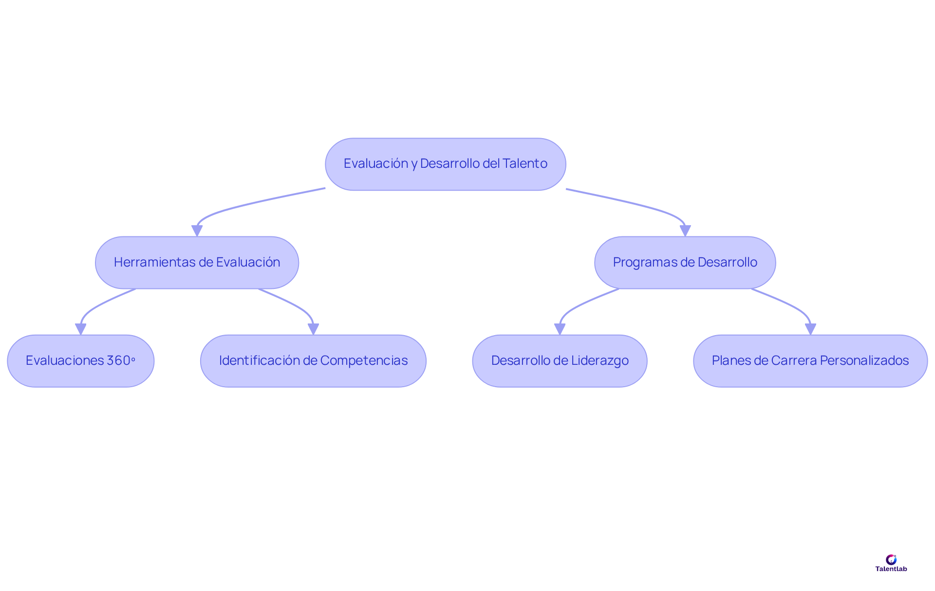 Cada cuadro representa una parte del proceso de evaluación y desarrollo del talento. Sigue las flechas para entender cómo cada herramienta y programa se relaciona y contribuye al éxito organizacional.