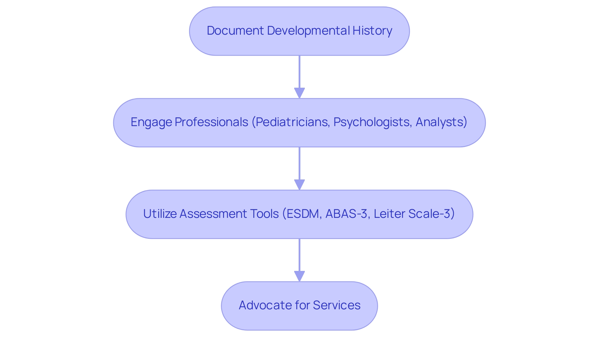 Each box represents a stage in the assessment process, with arrows indicating the flow from documenting history to advocacy for services.