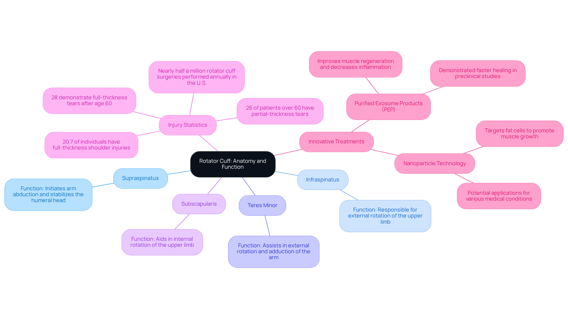 This mindmap starts with the rotator cuff at the center, showing how each muscle contributes to shoulder stability and movement. The branches also highlight important statistics about injuries and new treatment options, helping you see the big picture of shoulder health. This mindmap starts with the rotator cuff at the center, showing how each muscle contributes to shoulder stability and movement. The branches also highlight important statistics about injuries and new treatment options, helping you see the big picture of shoulder health.