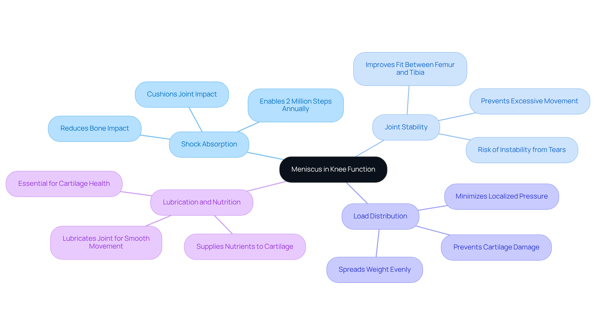 The central node represents the meniscus, while the branches show its key functions. Each function is important for knee health and stability, and understanding these can help you appreciate the meniscus's role in your daily activities.