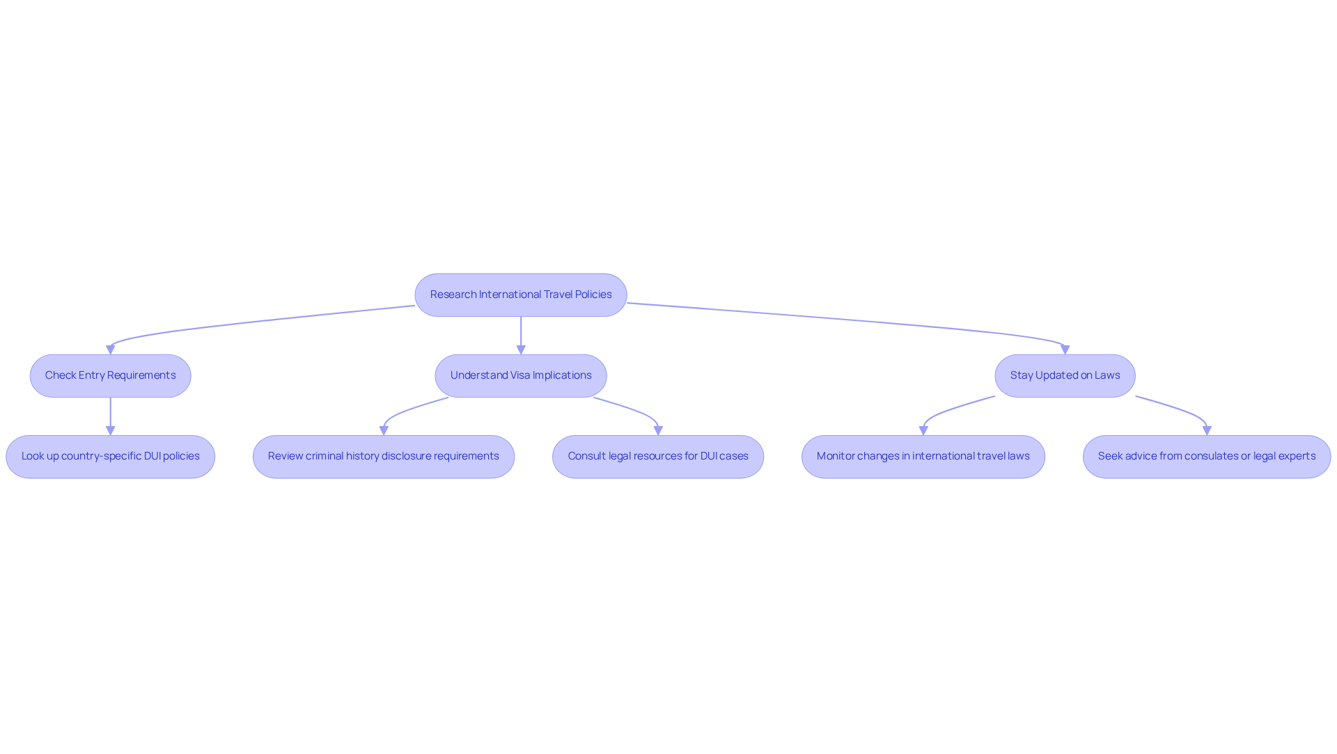 This flowchart guides you through the process of understanding how a DUI can affect your international travel. Follow the arrows to see what steps to take, from checking entry requirements to staying informed about changing laws.
