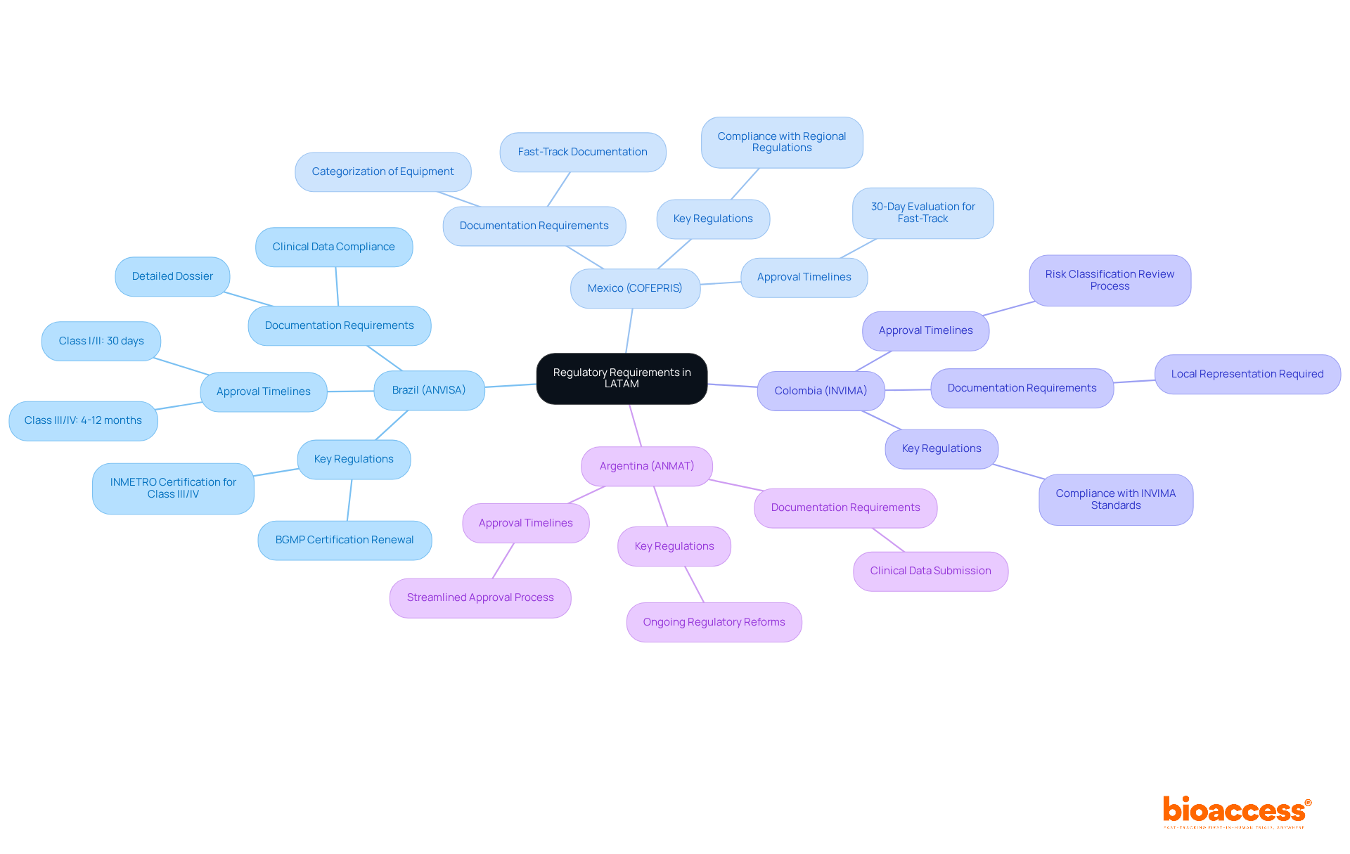 The central node represents the overall theme of regulatory requirements, while each branch represents a specific country. The sub-branches provide detailed insights into what companies need to know for successful market entry.
