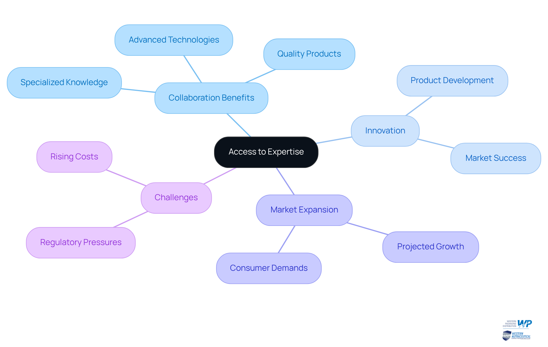 The central node represents the main idea of accessing expertise. Each branch shows the key areas of focus, with sub-branches detailing specific aspects of collaboration and innovation. This visual helps to see how these themes are related.