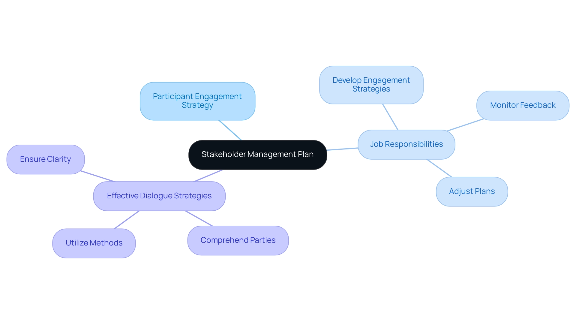 The central node represents the overall plan, with branches showing key responsibilities and strategies for effective stakeholder engagement.