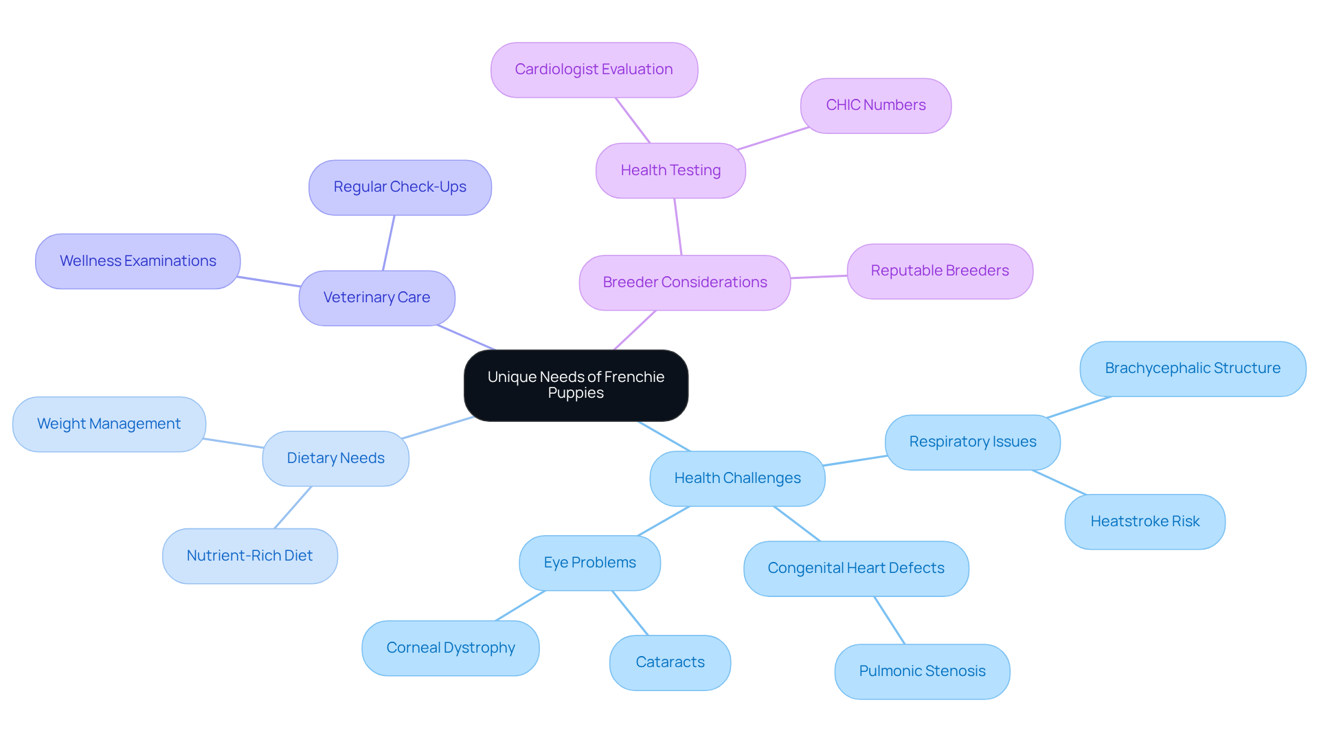 The central node represents Frenchie puppies, and the branches show the key areas of care and concern. You can explore each branch to learn more about how to support your Frenchie, from health risks to diet and care practices.