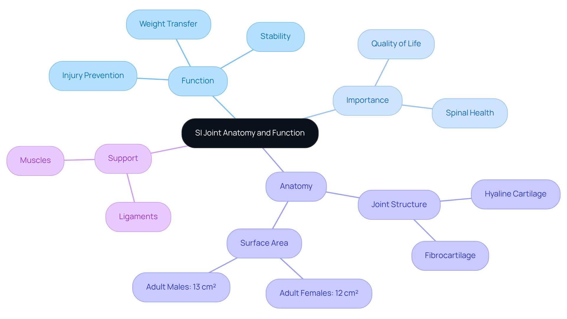 The central node represents the SI joint, while the branches show its various functions and importance. Each sub-branch provides more detail, helping you see how everything connects and why this joint is crucial for your health. The central node represents the SI joint, while the branches show its various functions and importance. Each sub-branch provides more detail, helping you see how everything connects and why this joint is crucial for your health.