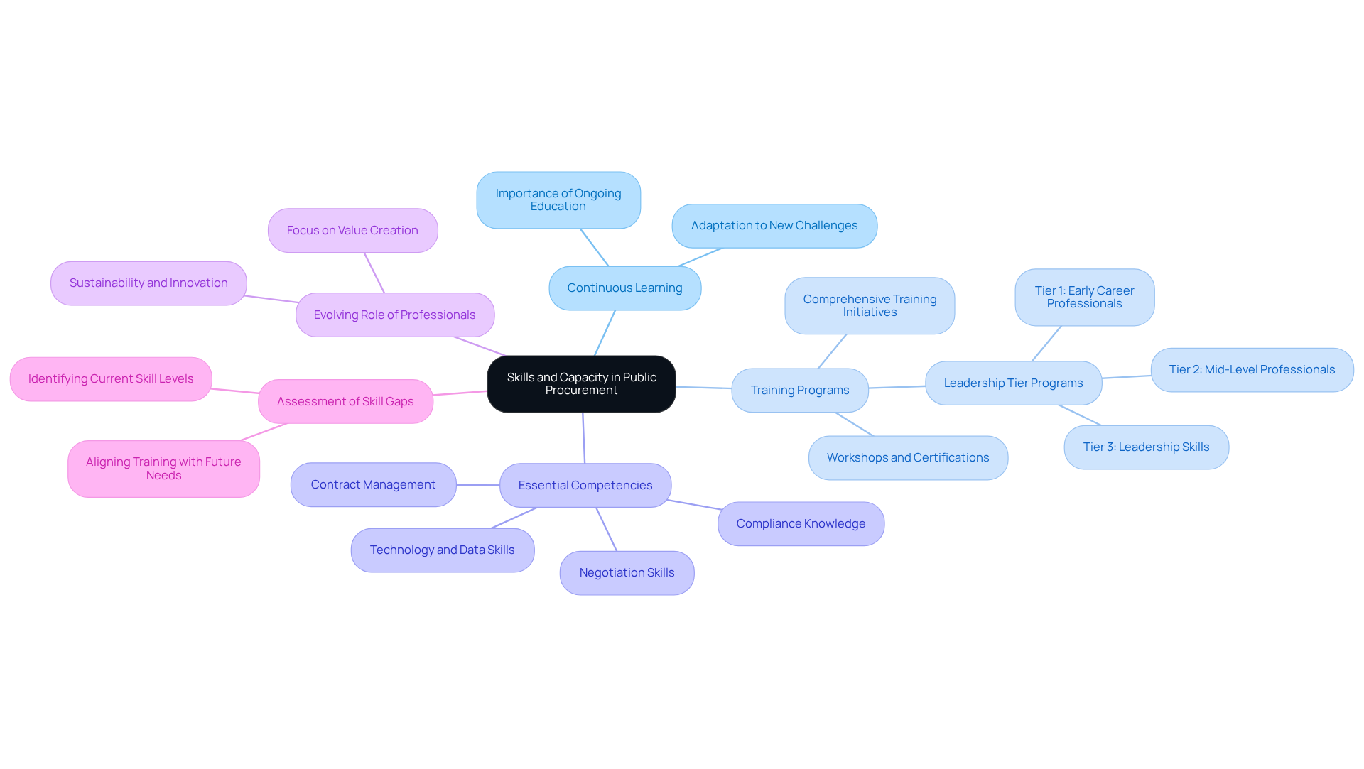 The center represents the main focus on skills and capacity. Each branch shows different aspects of skill development, helping you understand how they connect and contribute to effective public procurement. The center represents the main focus on skills and capacity. Each branch shows different aspects of skill development, helping you understand how they connect and contribute to effective public procurement.